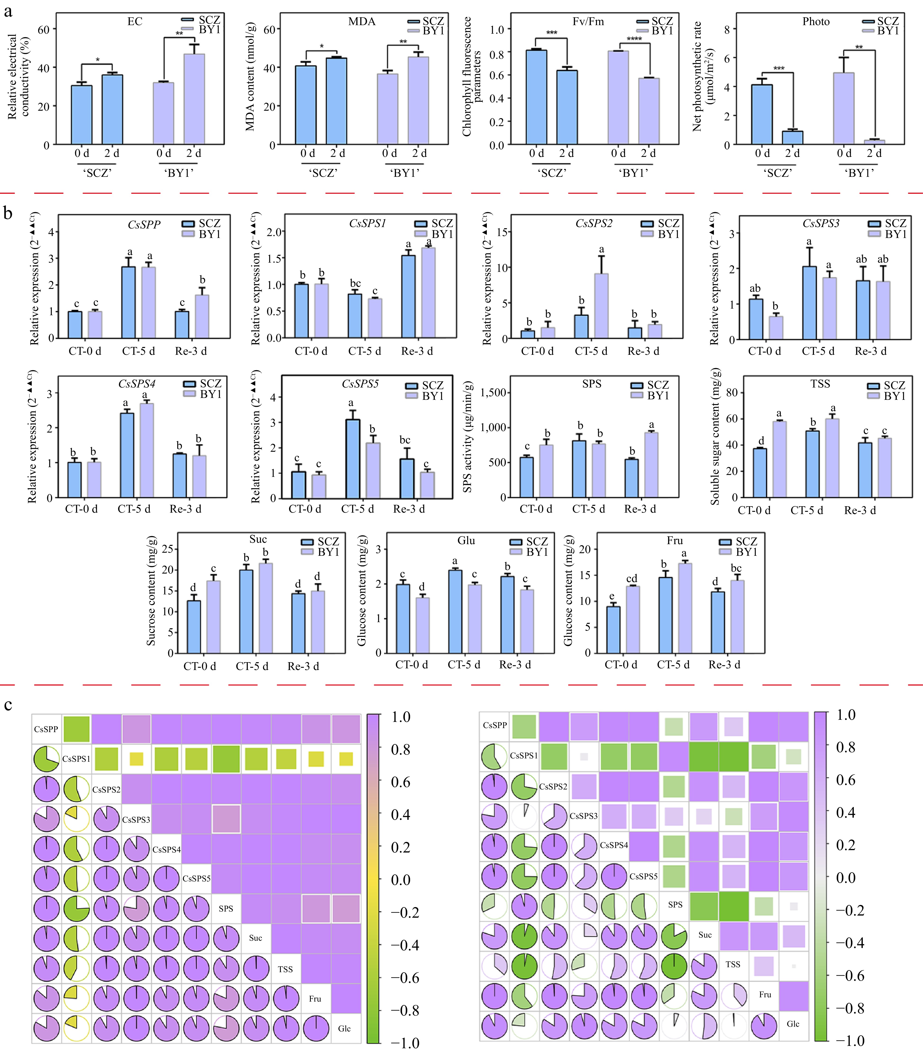 Genome-wide identification and expression analysis of sucrose phosphate ...