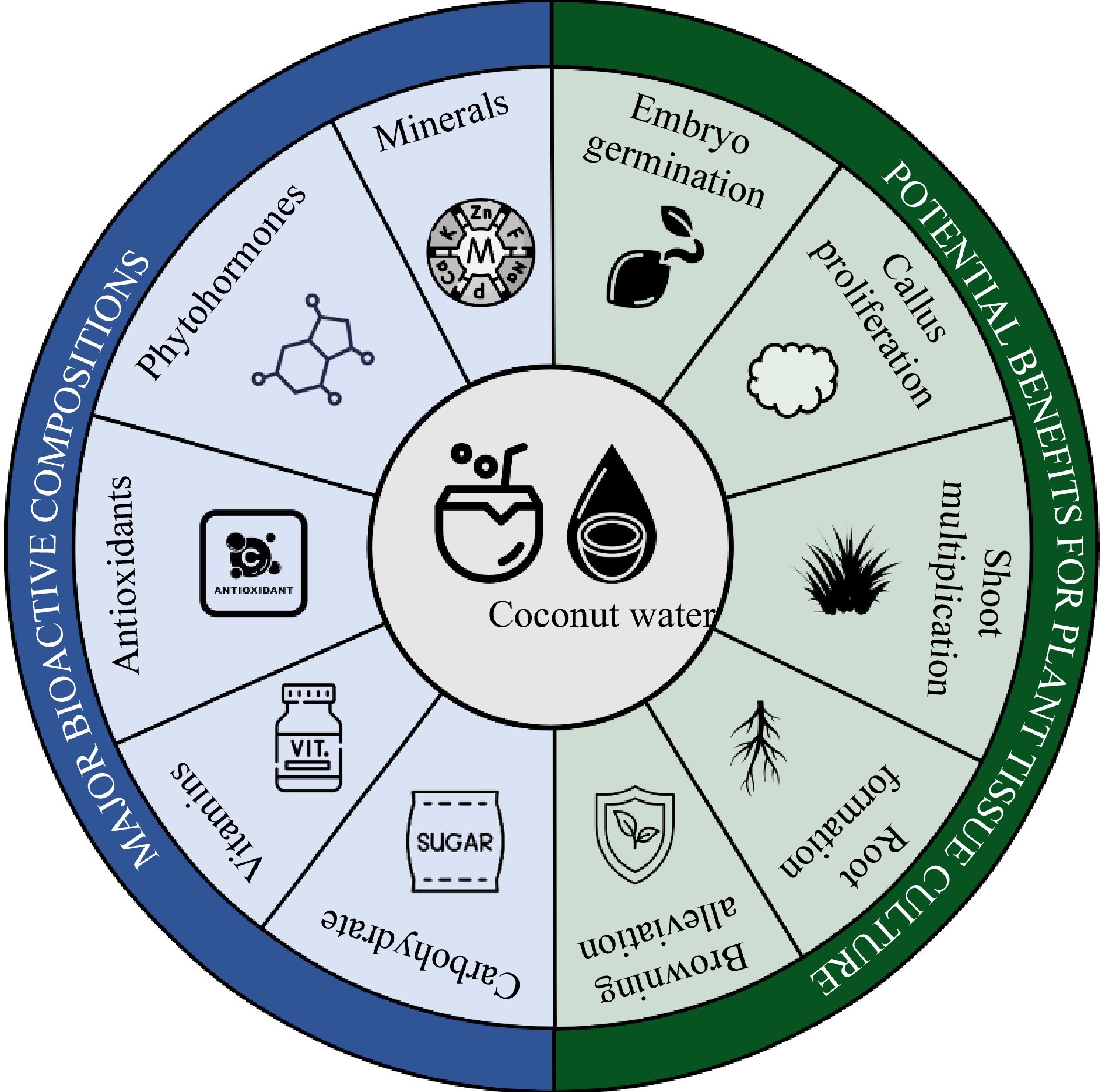 Exploring the potential application of coconut water in healthcare and ...