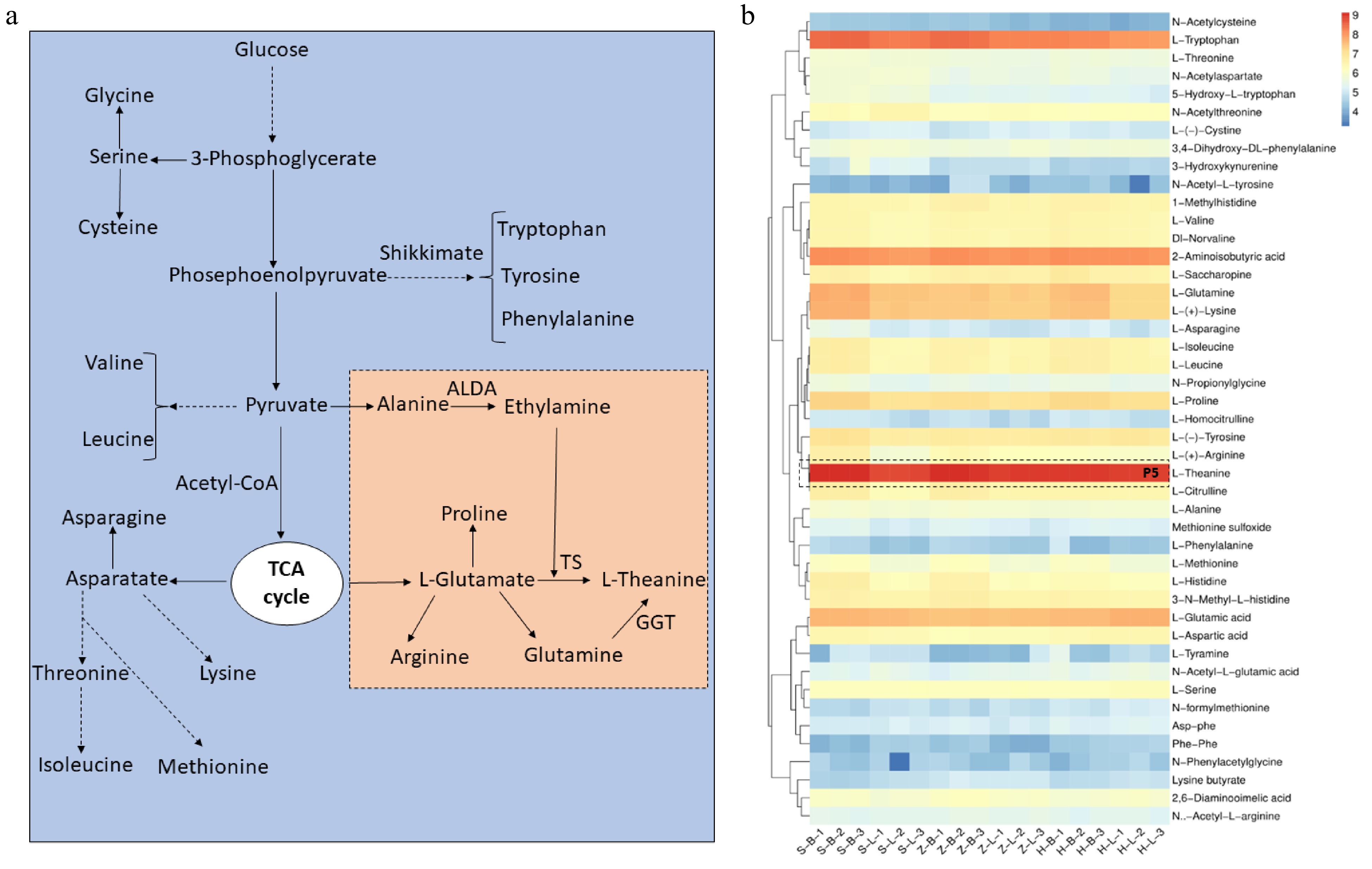 Metabolome Profiling Unveil The Composition Differences Of Quality Of Different Tea Cultivars