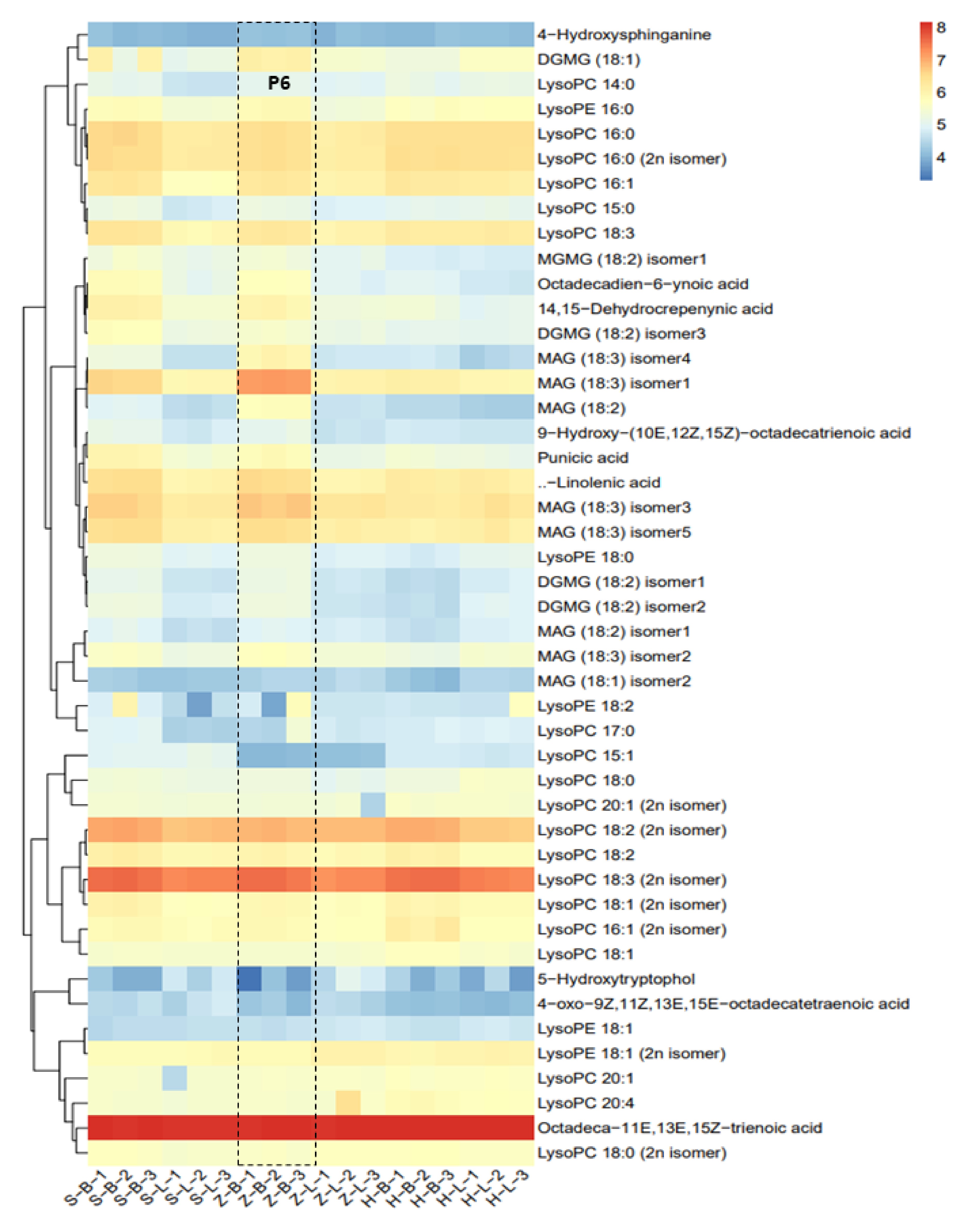 Metabolome profiling unveil the composition differences of quality of ...