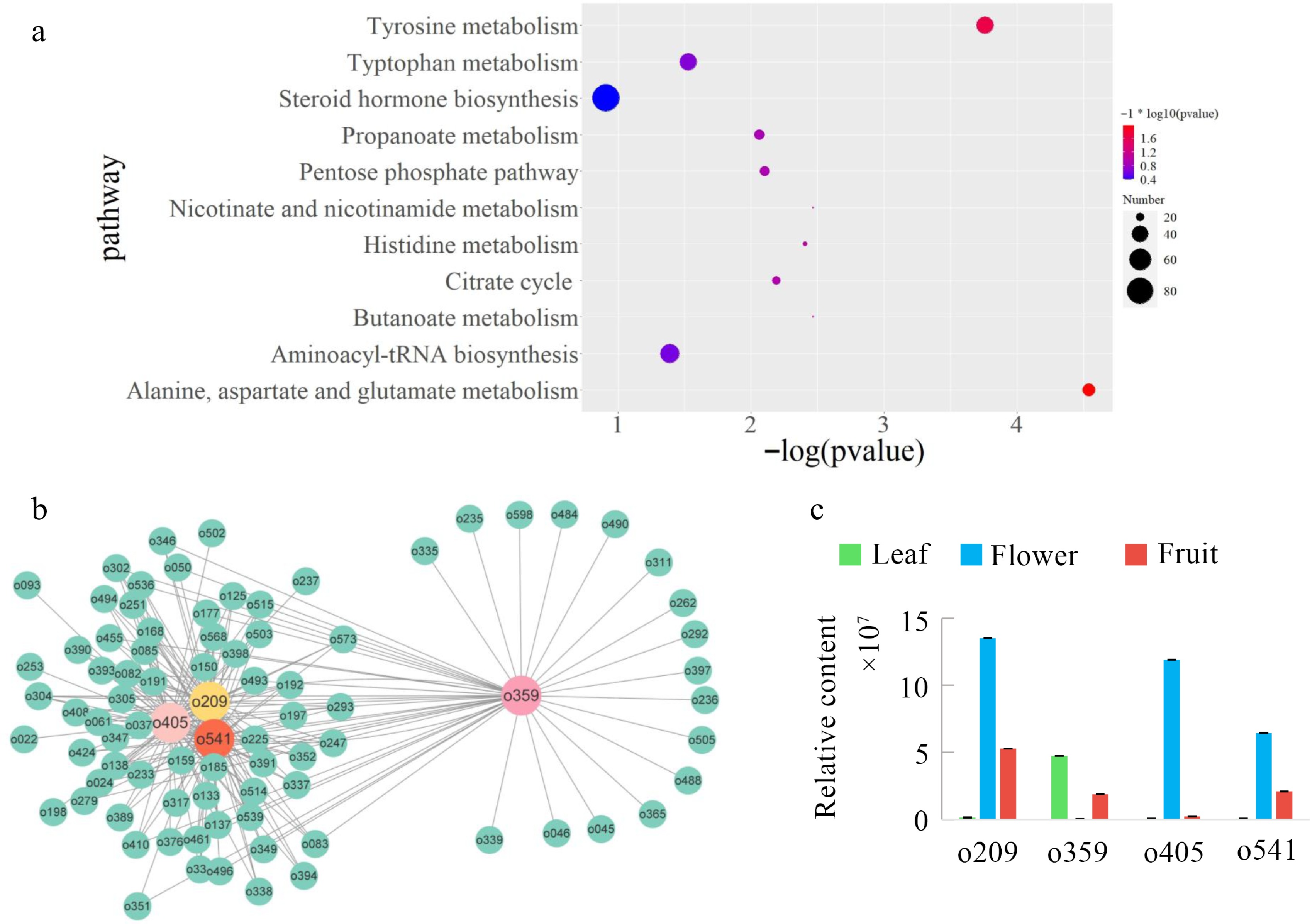 Comparative Metabolite Profiling Reveals Signatures Of Tea Made From