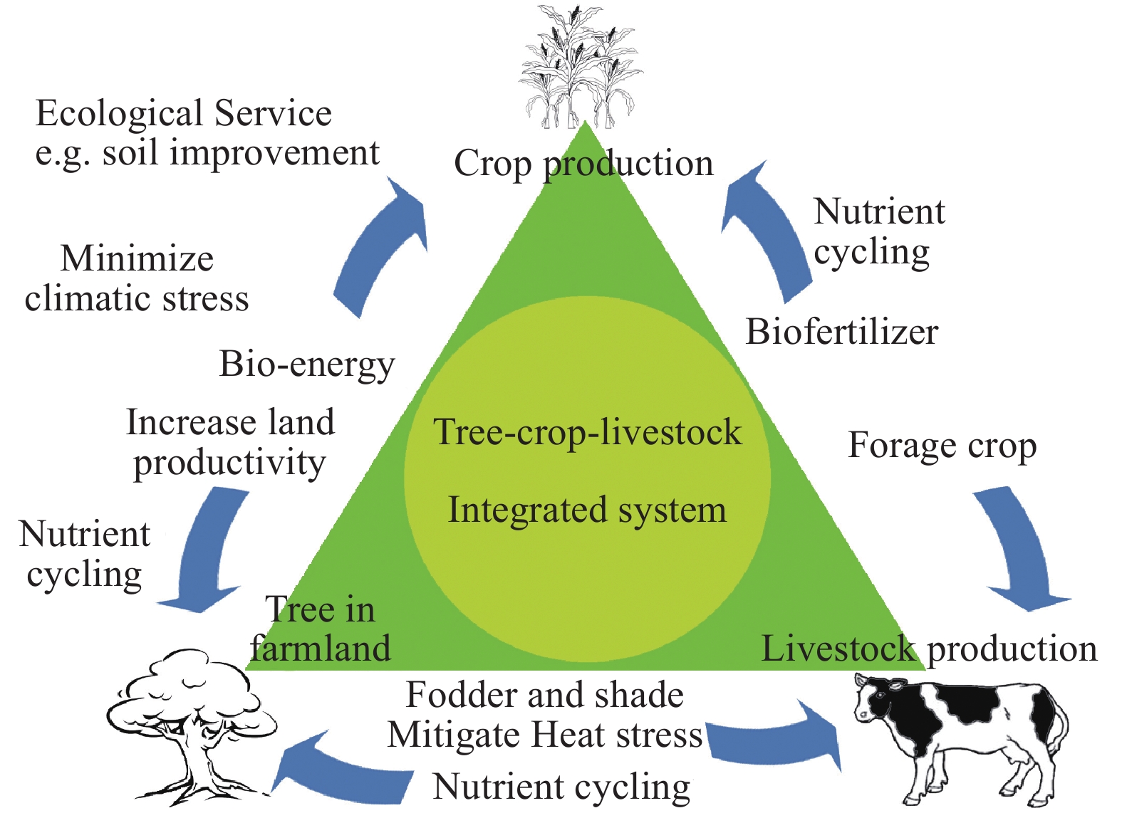 Mapping tree species distribution in support of China's integrated tree ...
