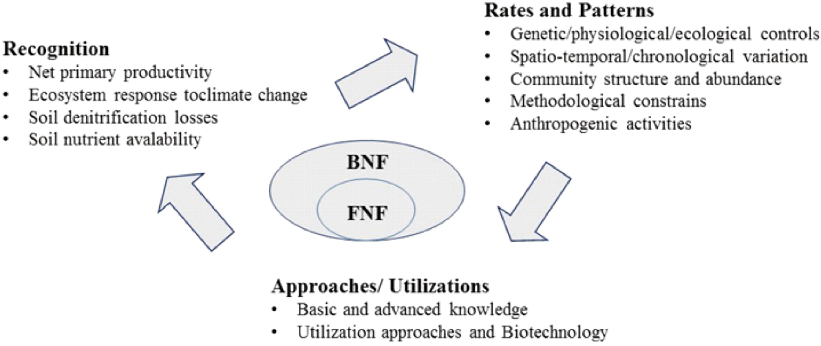 Towards a comprehensive understanding of free-living nitrogen fixation
