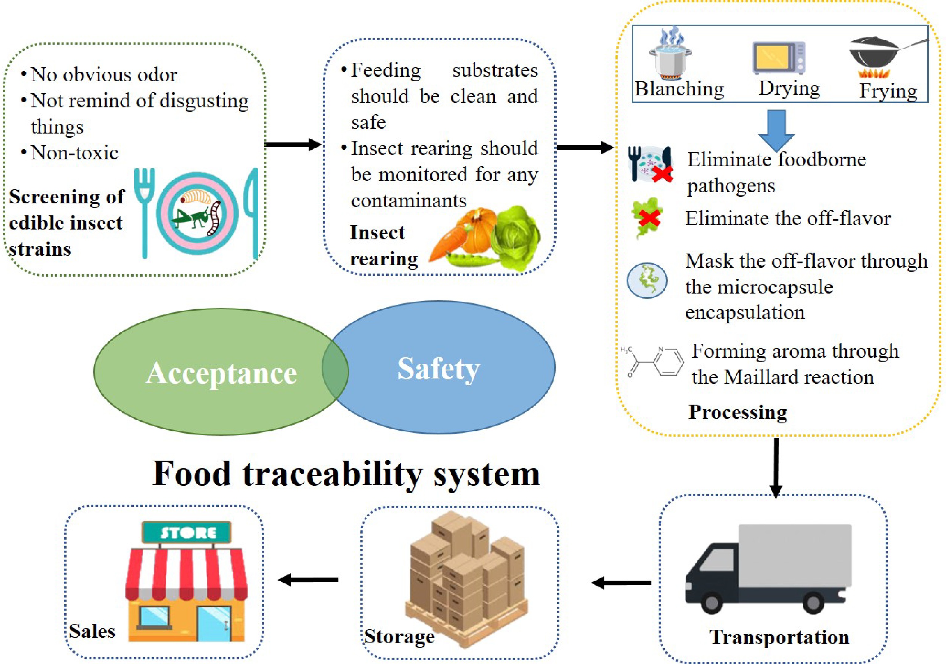 Goal-oriented insect farming and processing can alleviate the dilemma ...