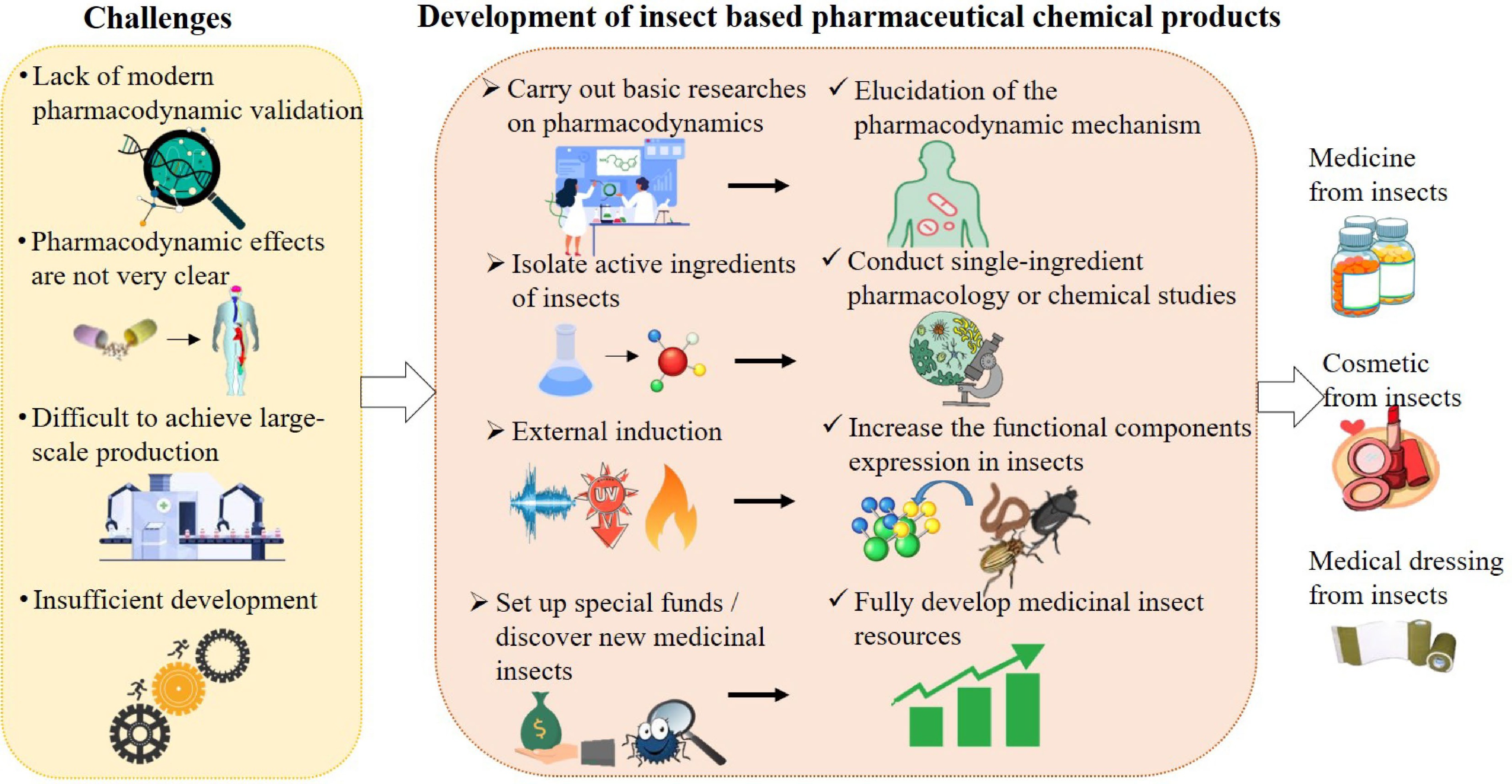 Goal-oriented insect farming and processing can alleviate the dilemma ...