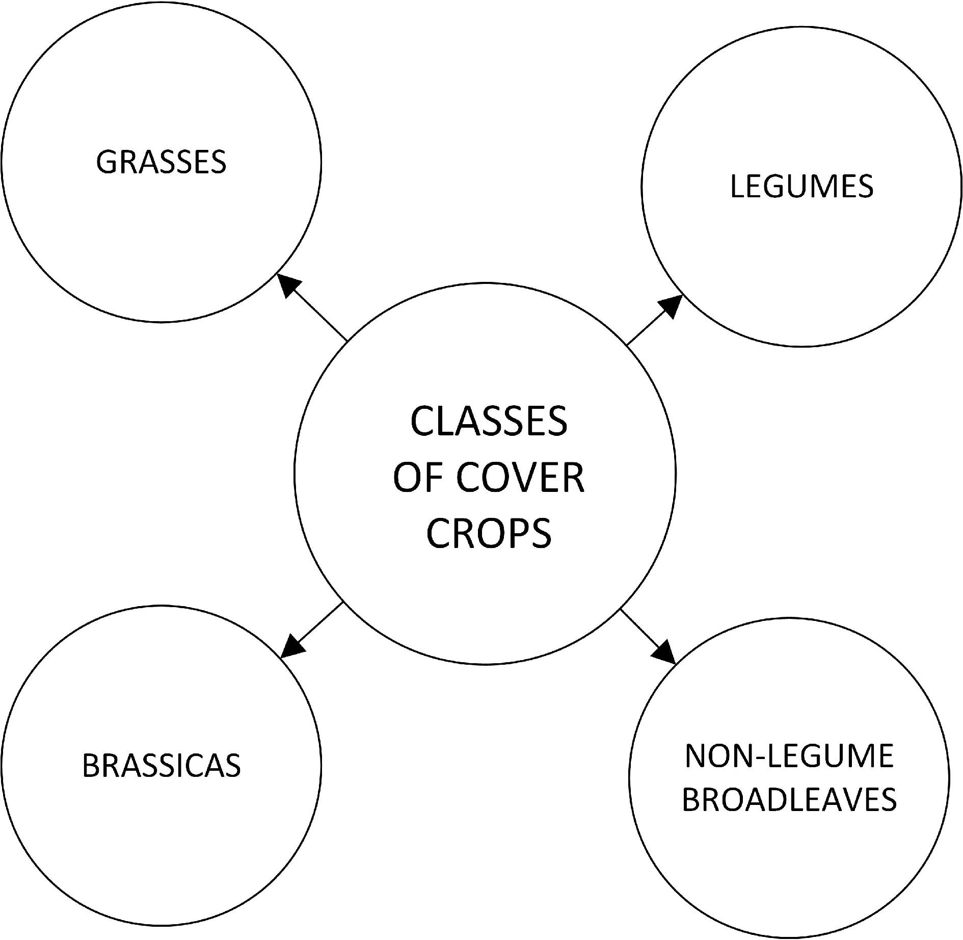 Mechanized cover crop farming Modern methods, equipment and technologies