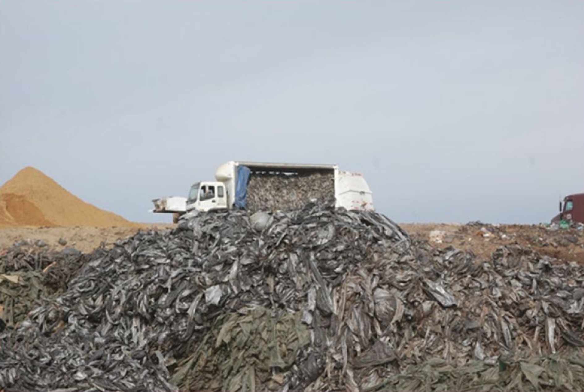 Recycling agricultural plastic mulch limitations and opportunities in ...