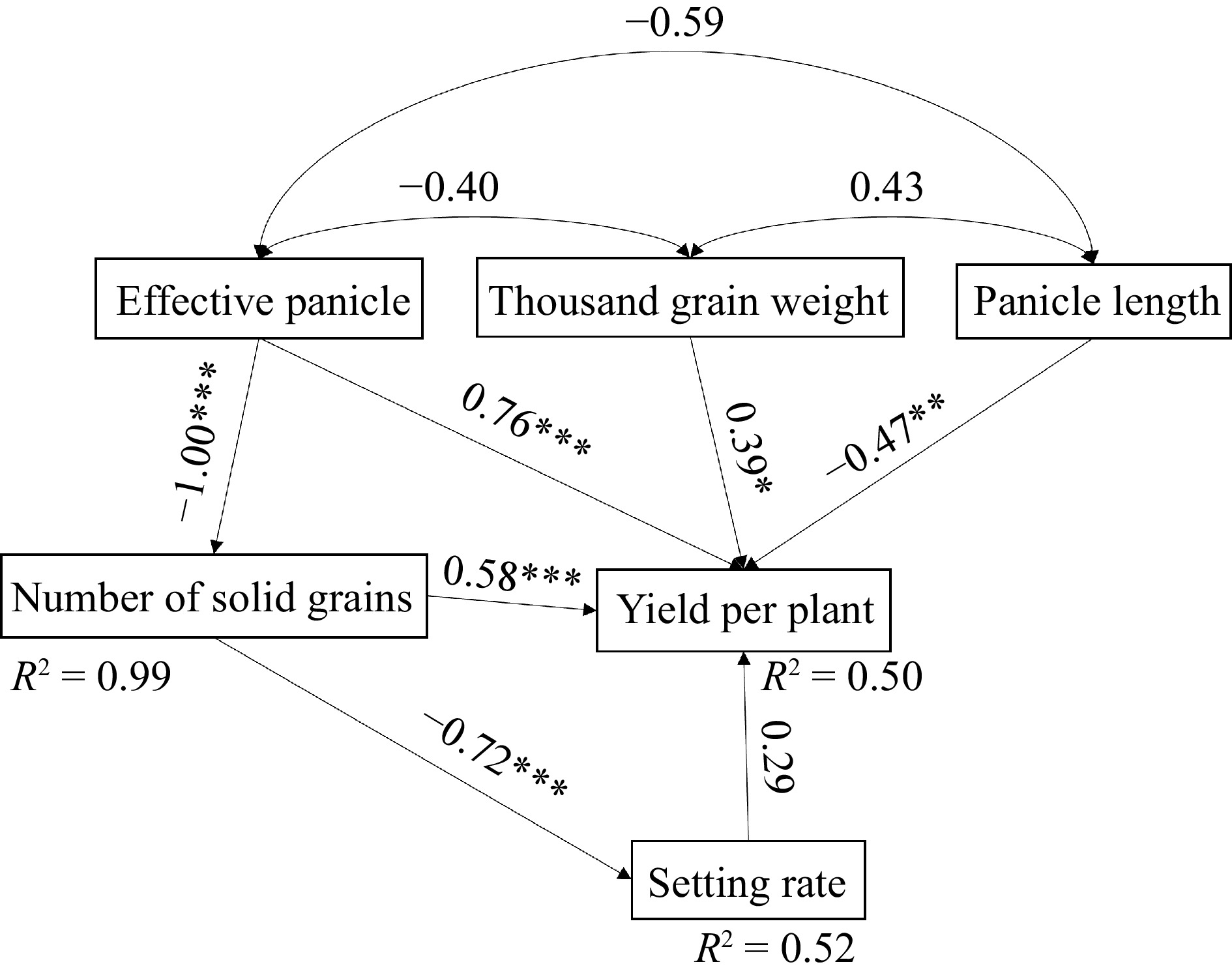 Improving growth and yield of rice through the use of agricultural ...
