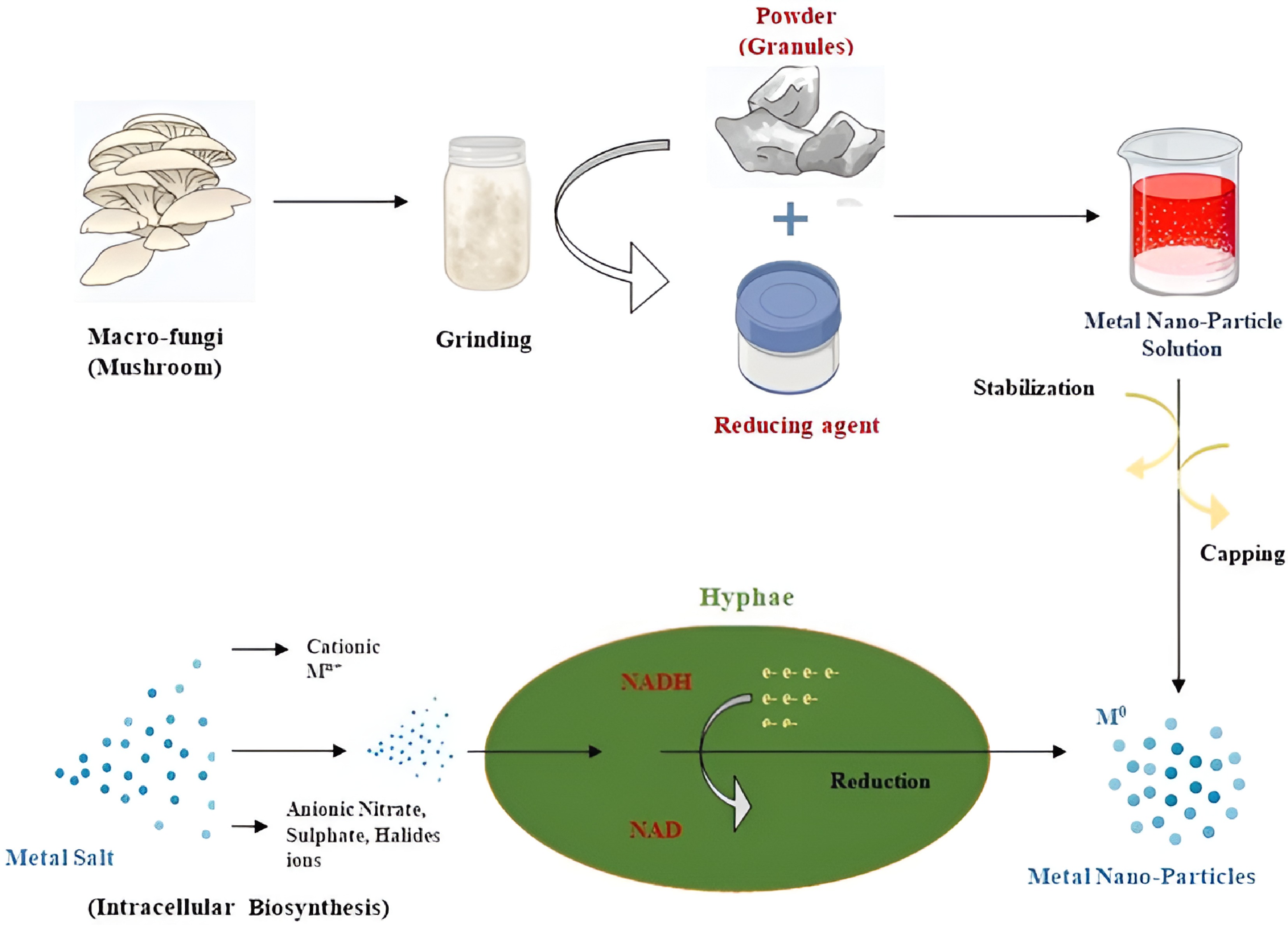 Systems biology for mushroom cultivation promoting quality life