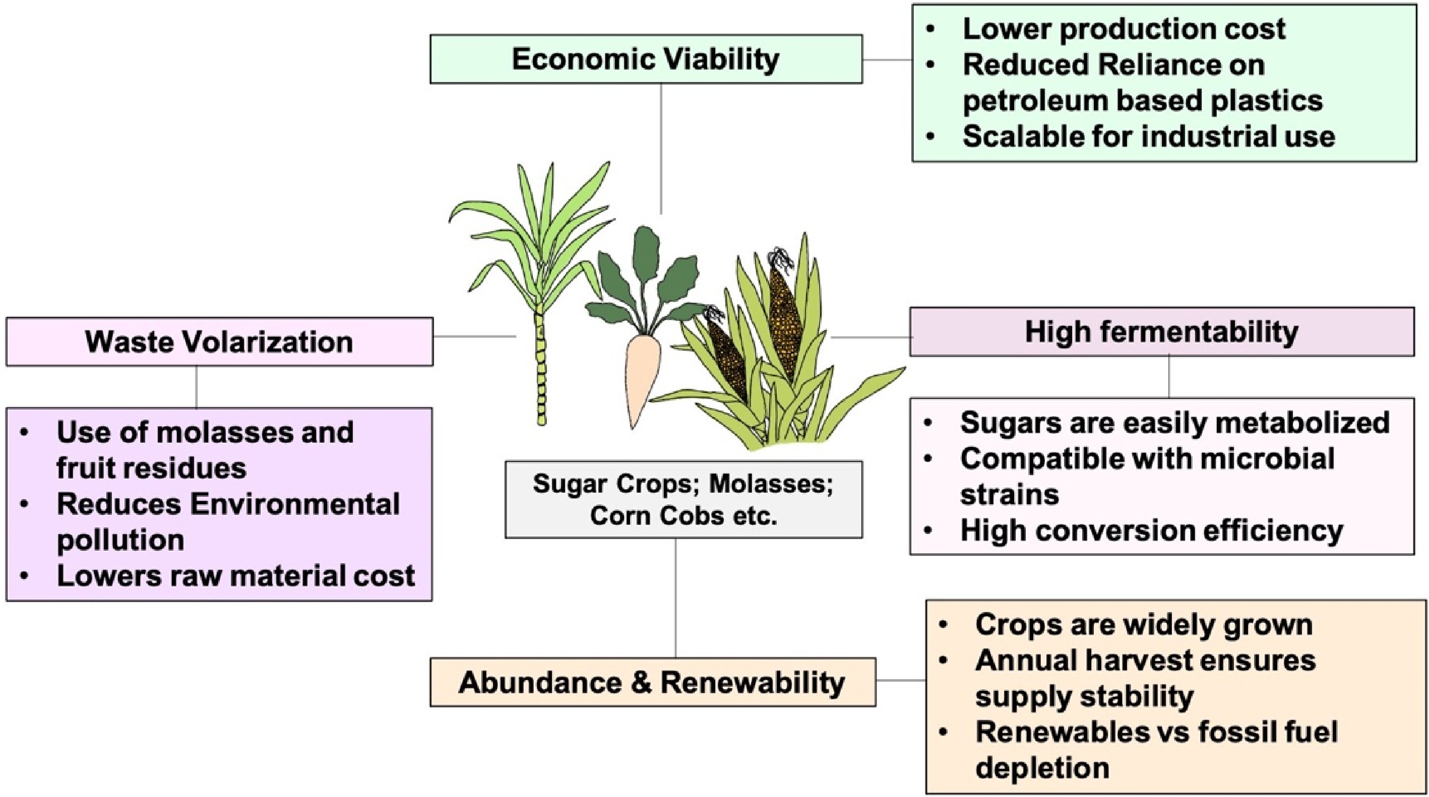 Exploiting sugar-rich feedstocks for sustainable polyhydroxyalkanoate ...