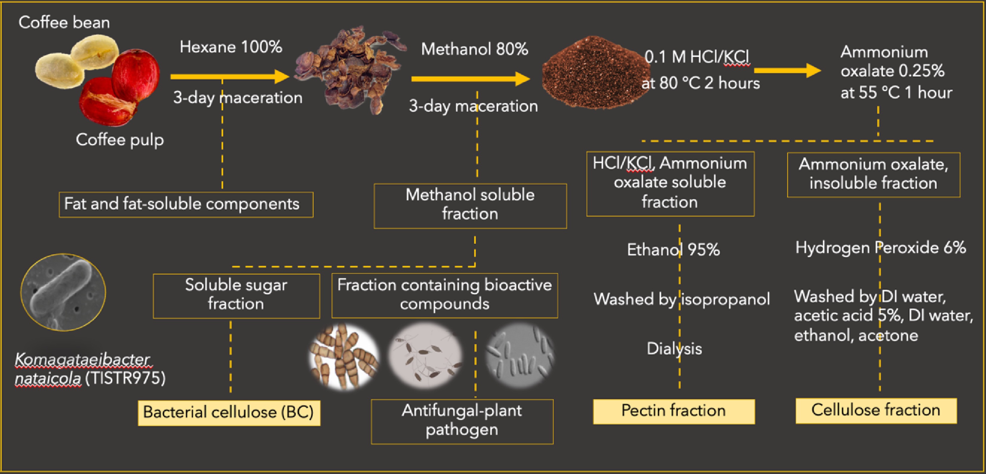 Value-added strategies for coffee biomass advancing biorefinery ...