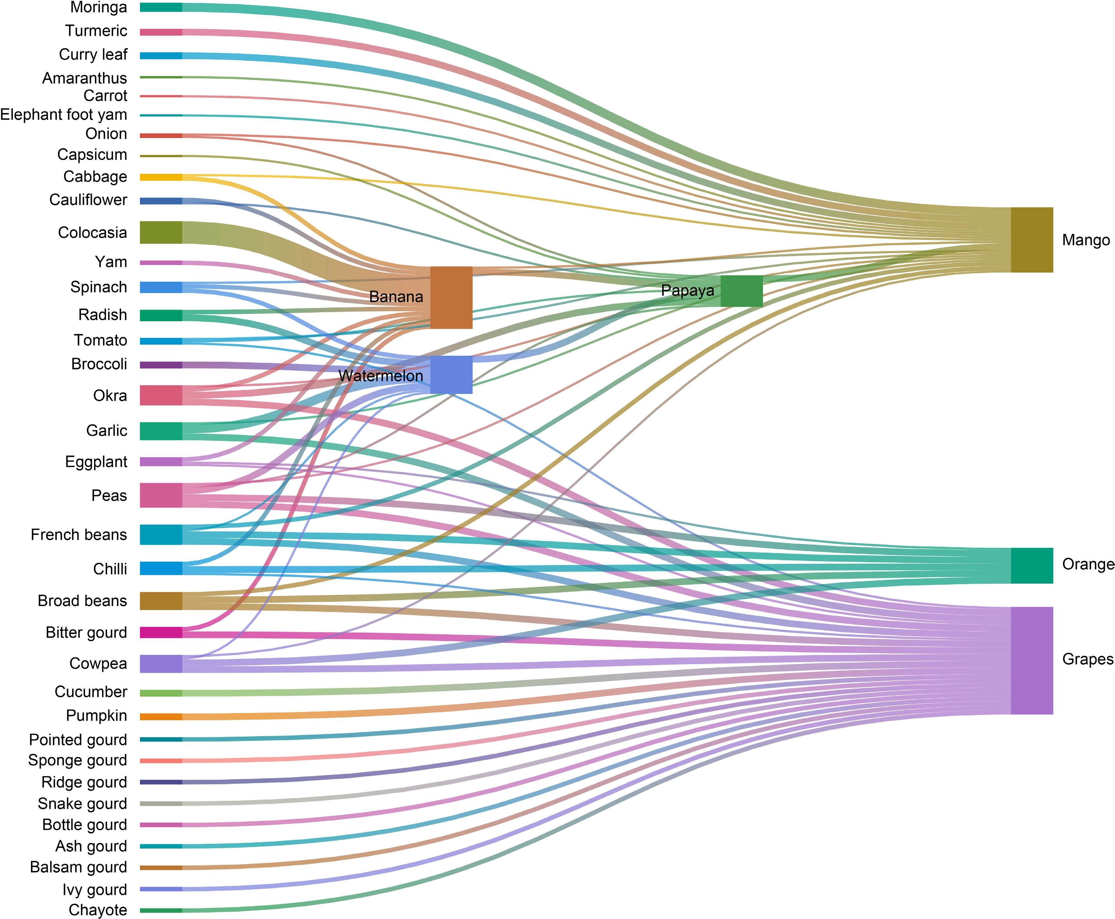Promoting sustainable agriculture in Devdaha Municipality, Nepal ...