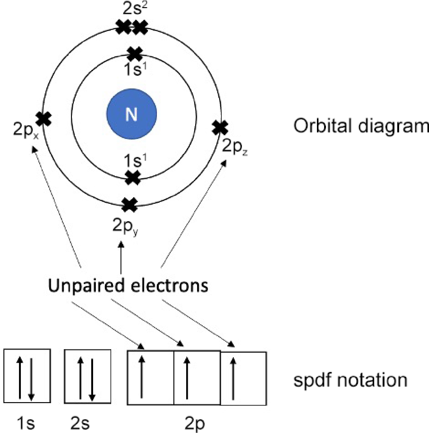 Revolutionizing nitrogen fixation communicating the potentials of ...