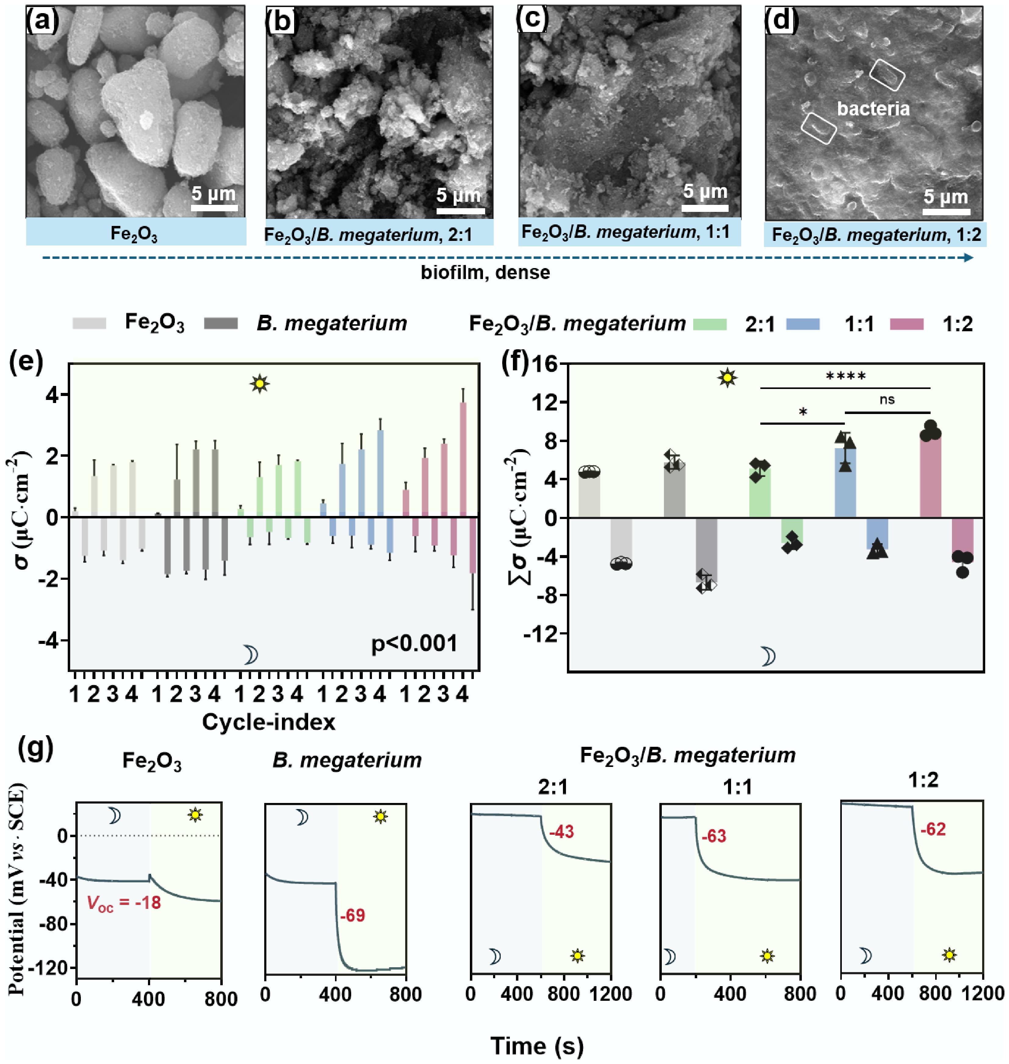 A bio-photovoltage soil-microbe battery for antibiotic degradation in ...