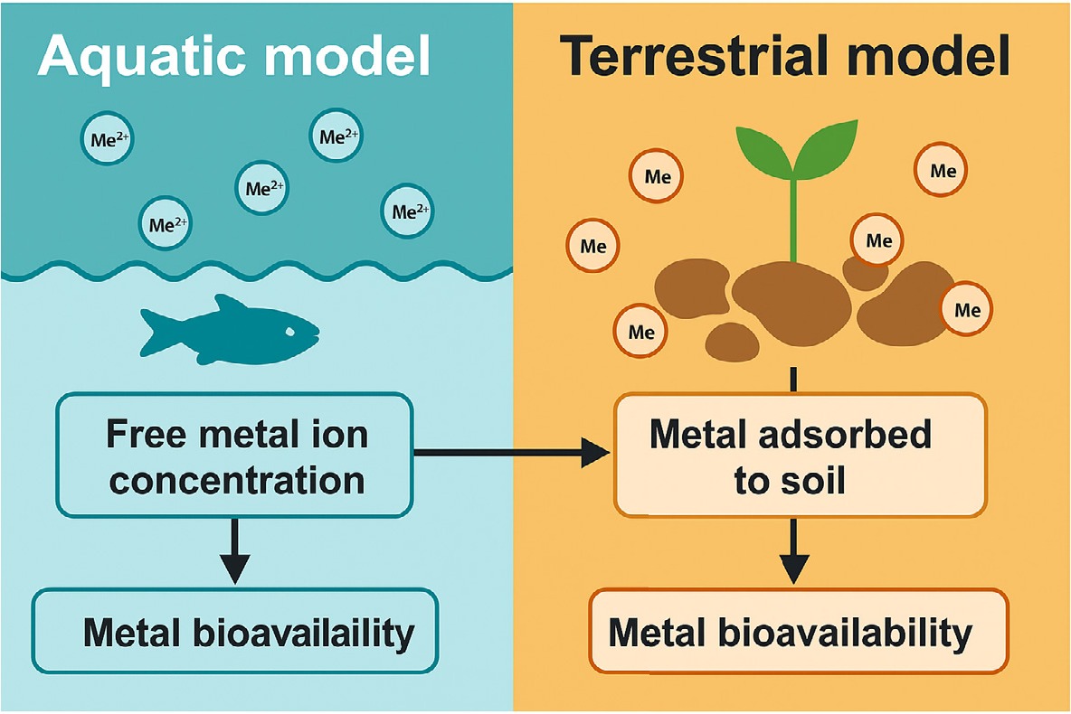 Bioavailability of heavy metals in soil a review of tools, models, and ...