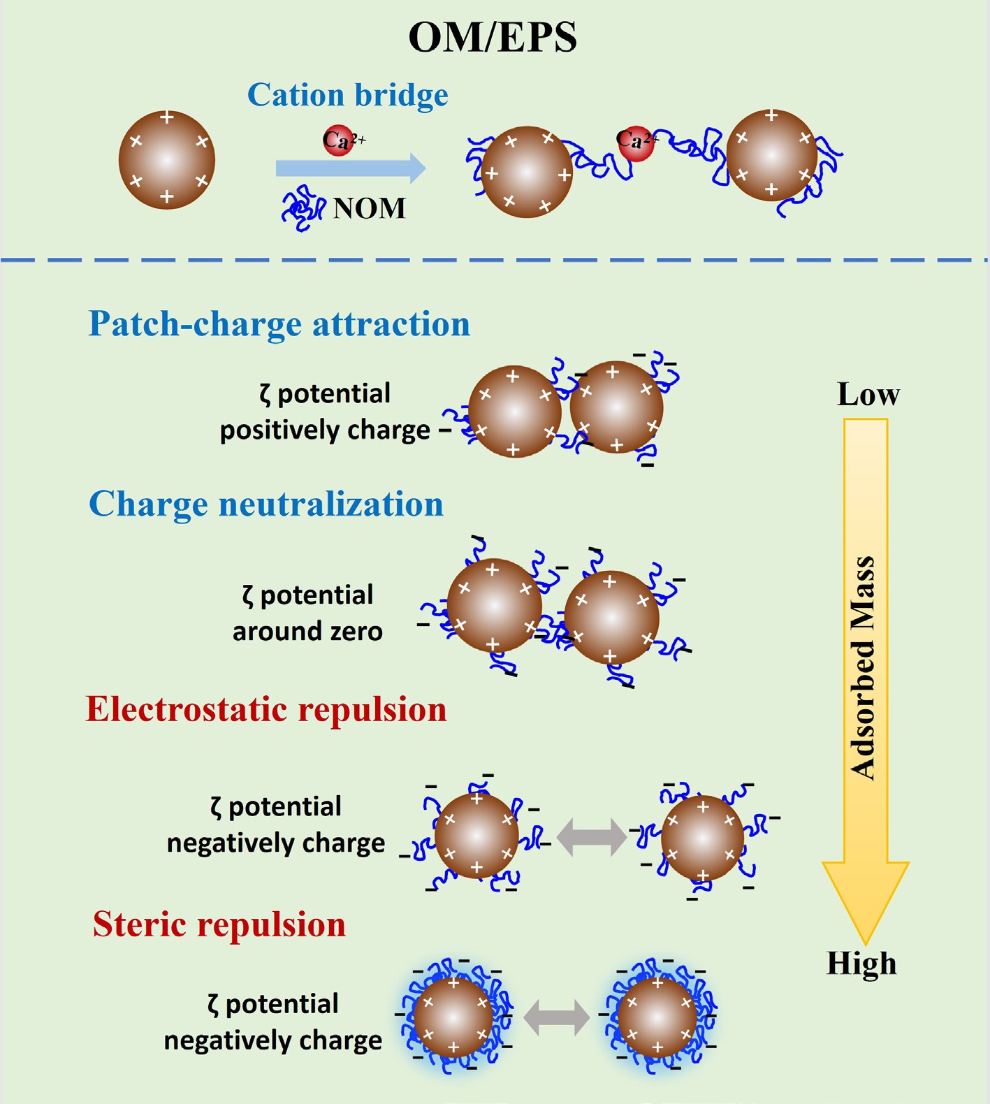 Review on stability of iron (oxyhydr)oxide nanoparticles in natural ...