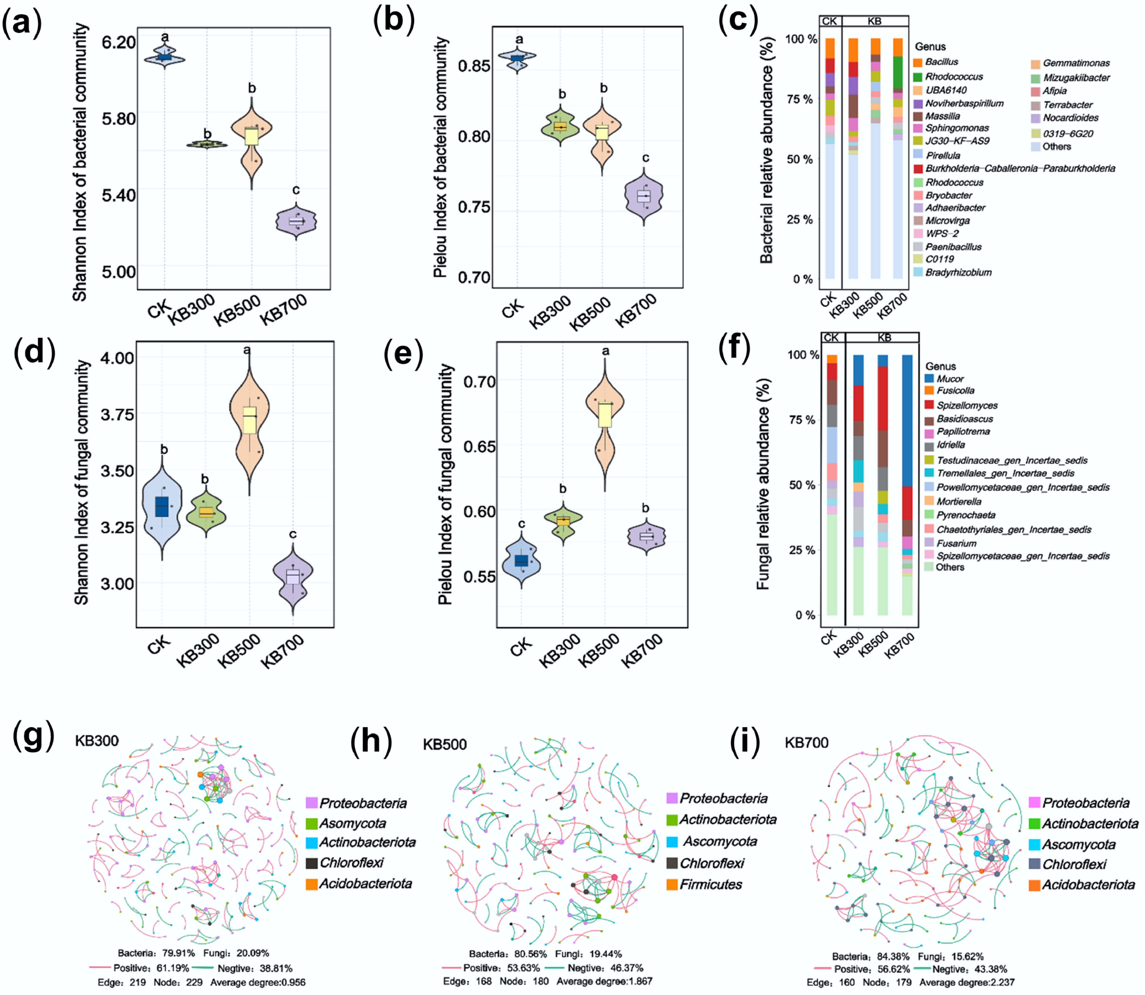Selective application of biochars to realize biochar–microbe ...