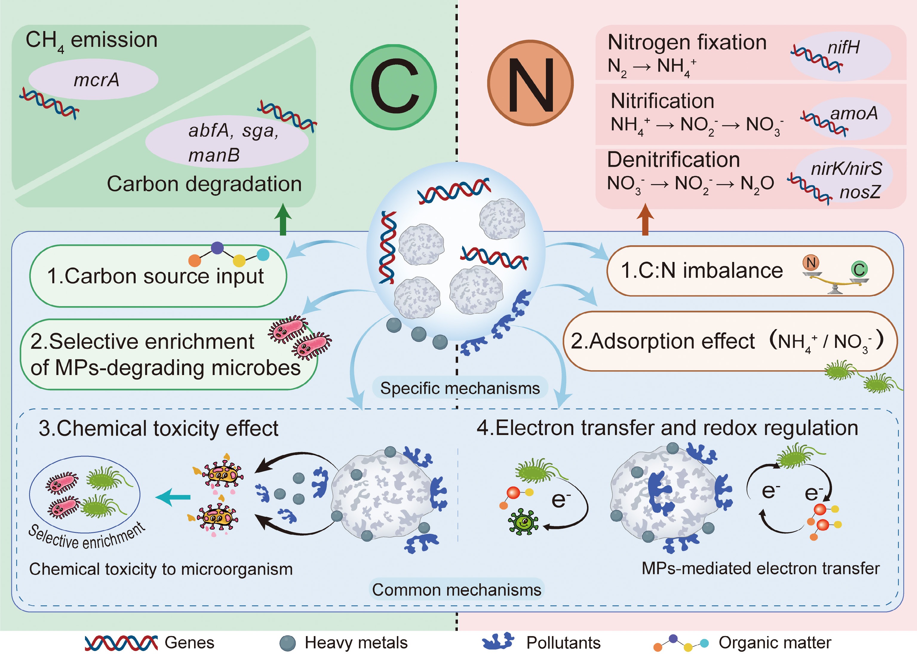 Effects of microplastic on soil ecosystems a perspective from ...
