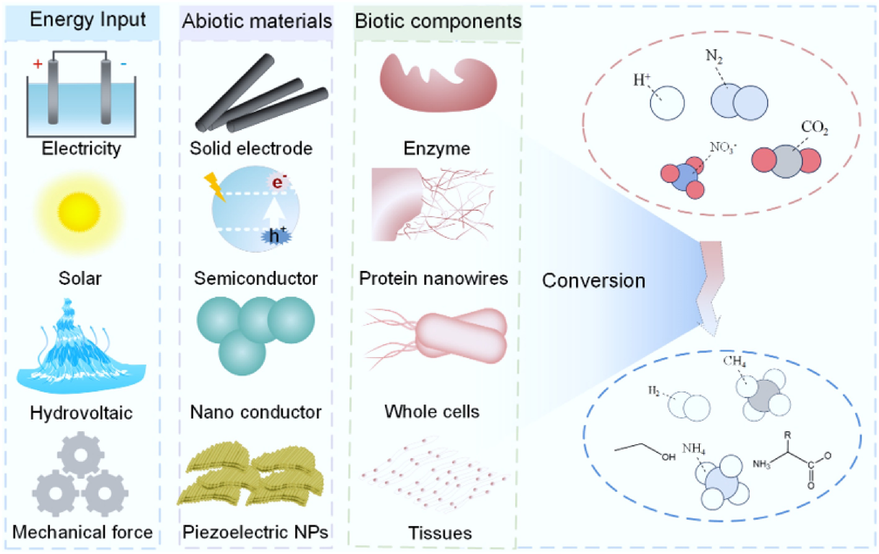 Biohybrids for sustainable chemical synthesis