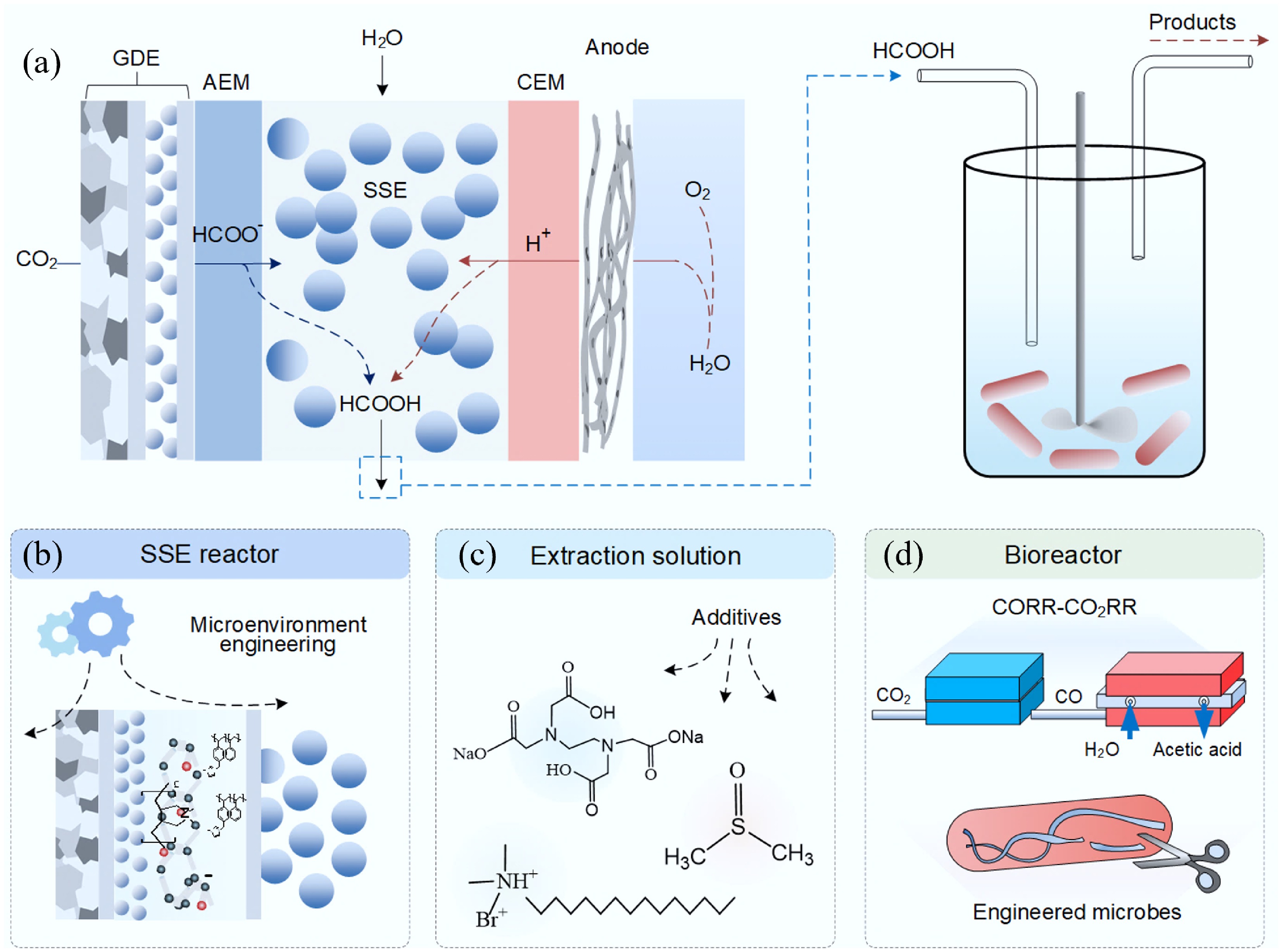 Biohybrids for sustainable chemical synthesis
