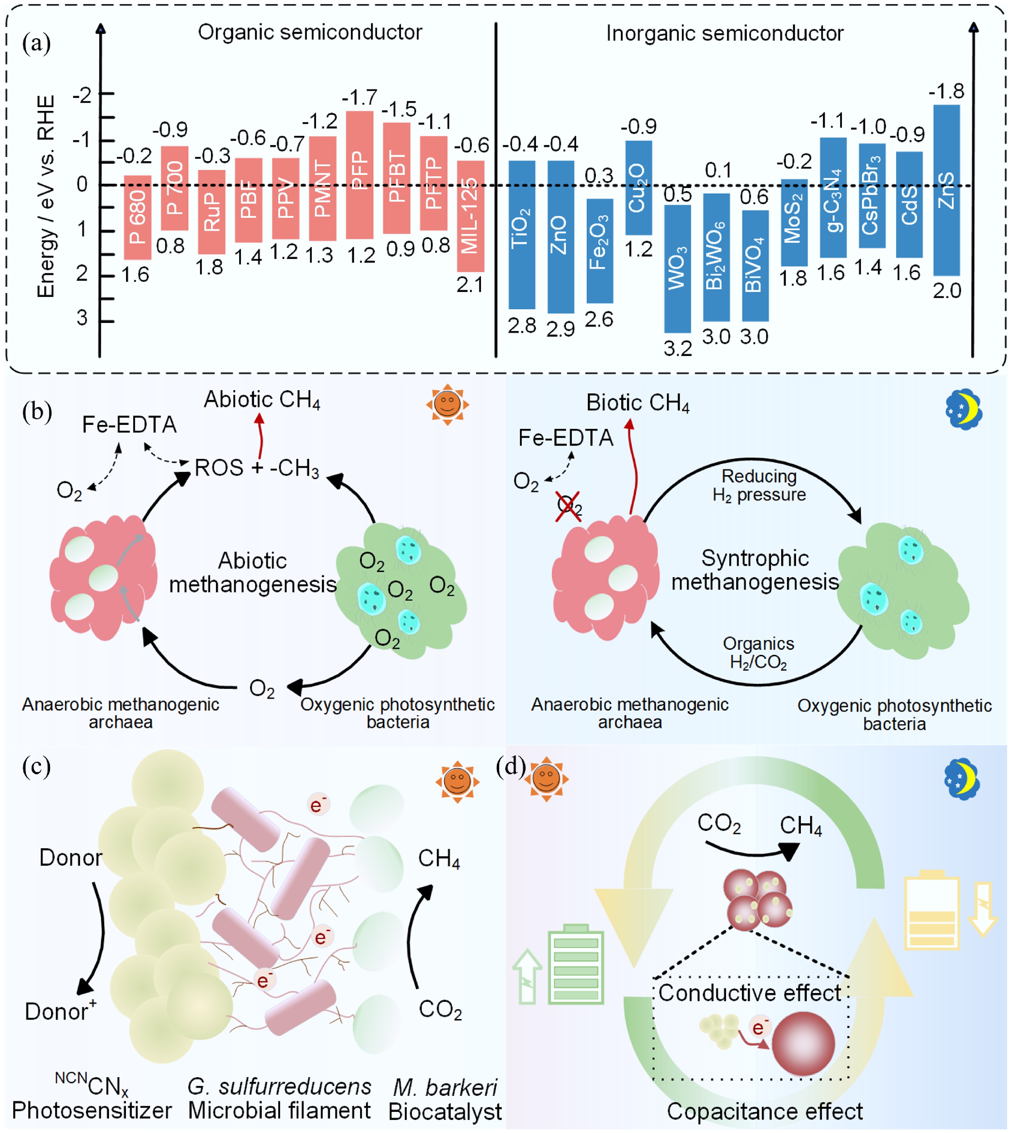 Biohybrids for sustainable chemical synthesis