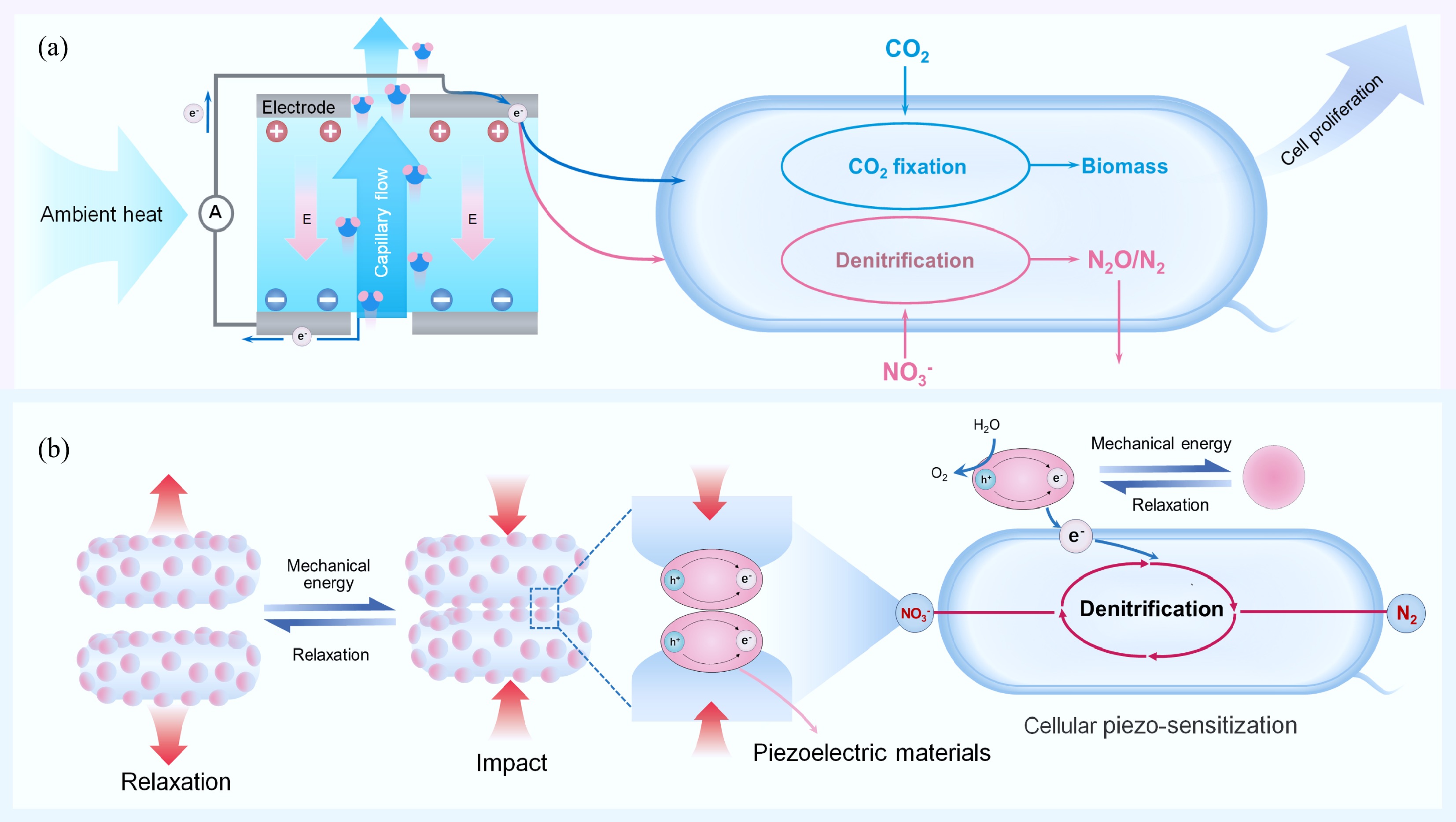 Biohybrids for sustainable chemical synthesis