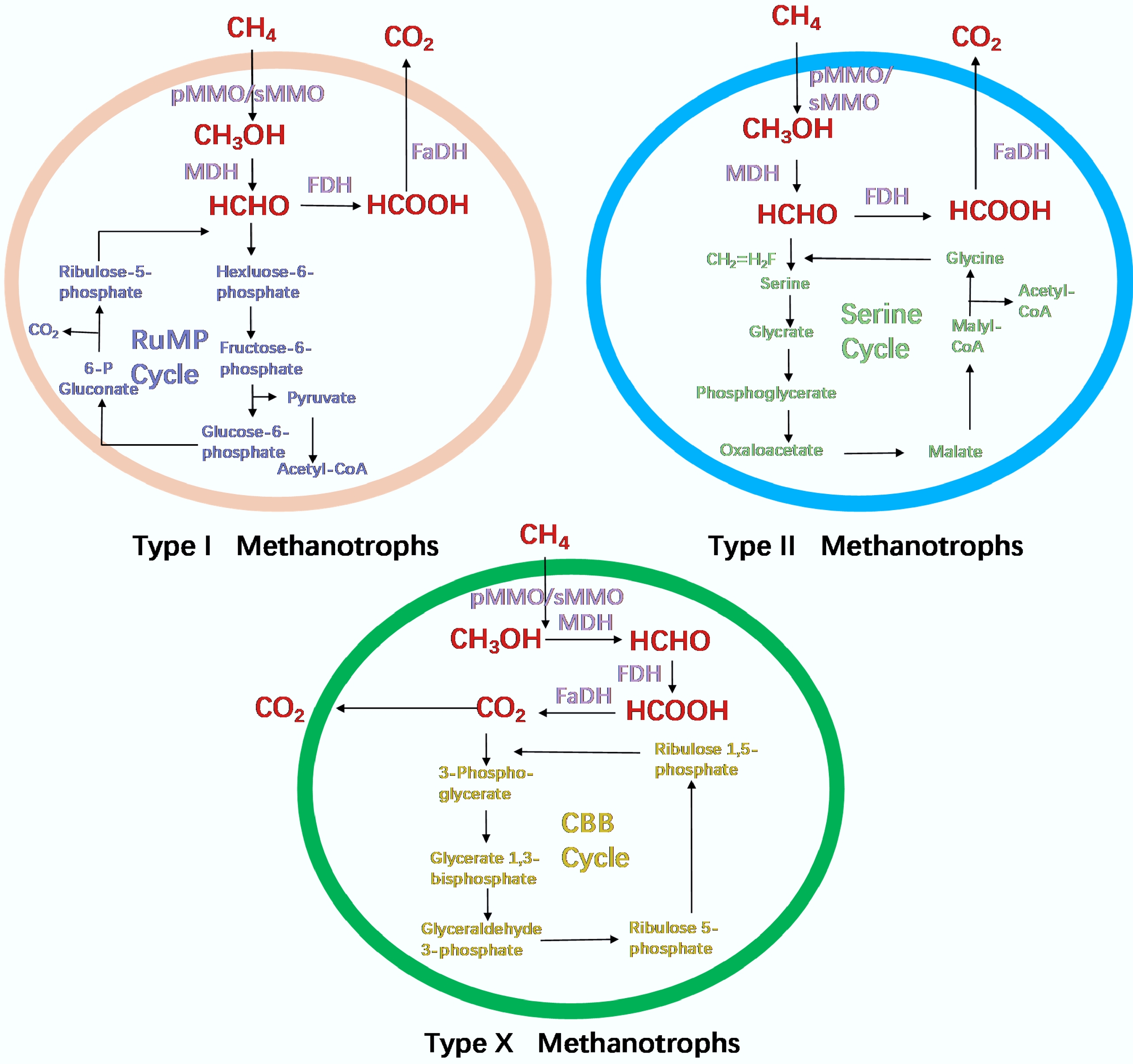 Advances in high-value resource recovery of greenhouse gases driven by ...