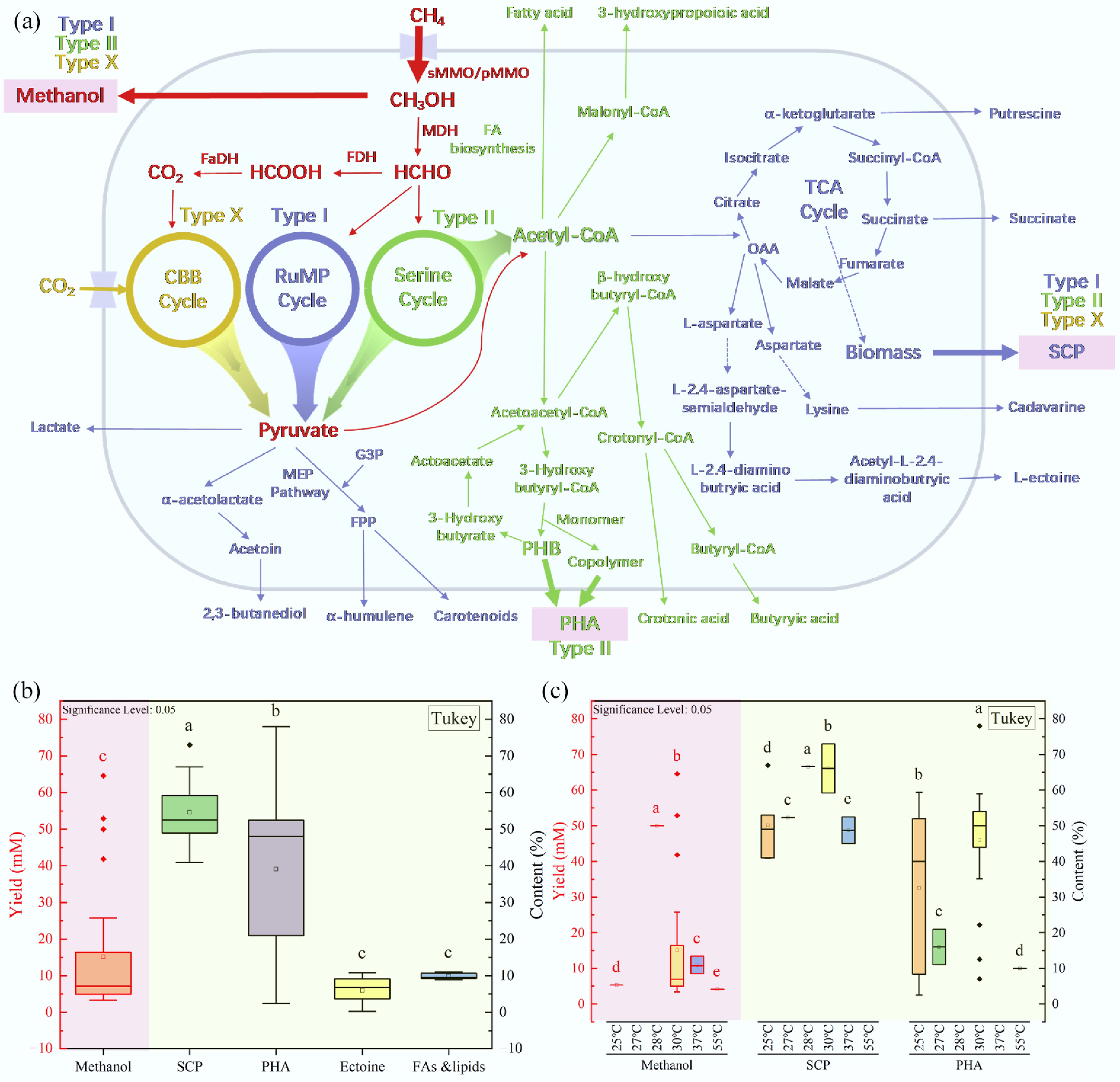 Advances in high-value resource recovery of greenhouse gases driven by ...