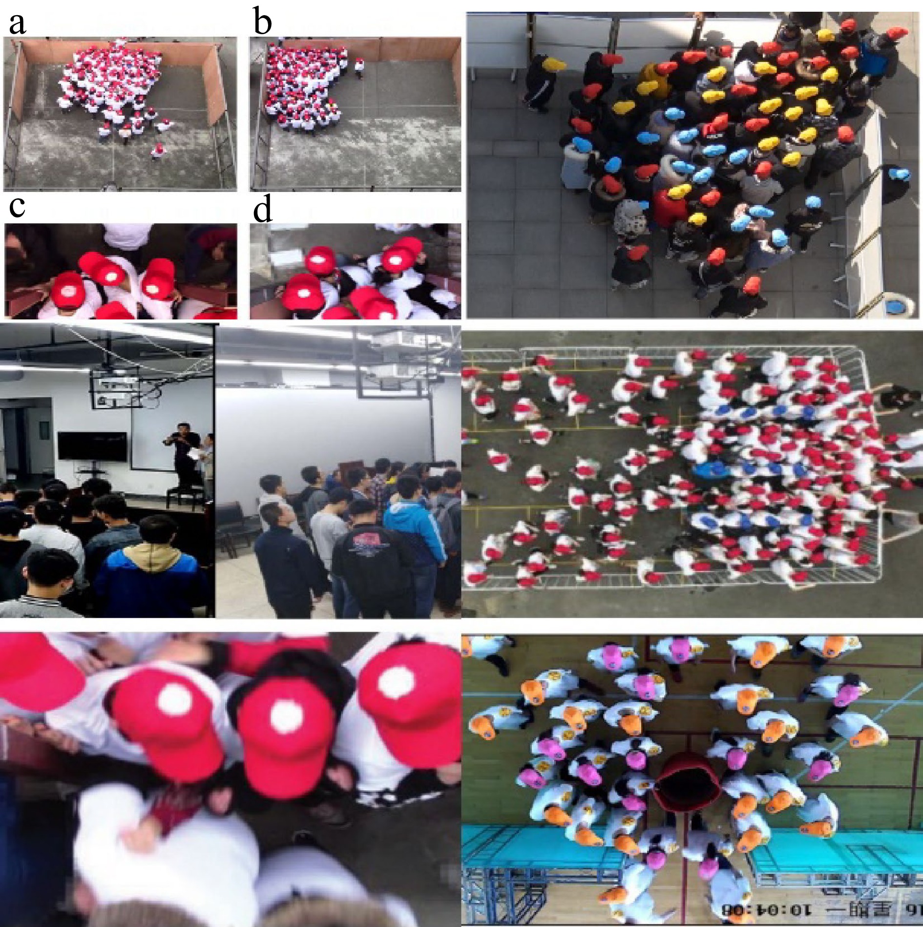 Progress and prospects in crowd safety evacuation research in China