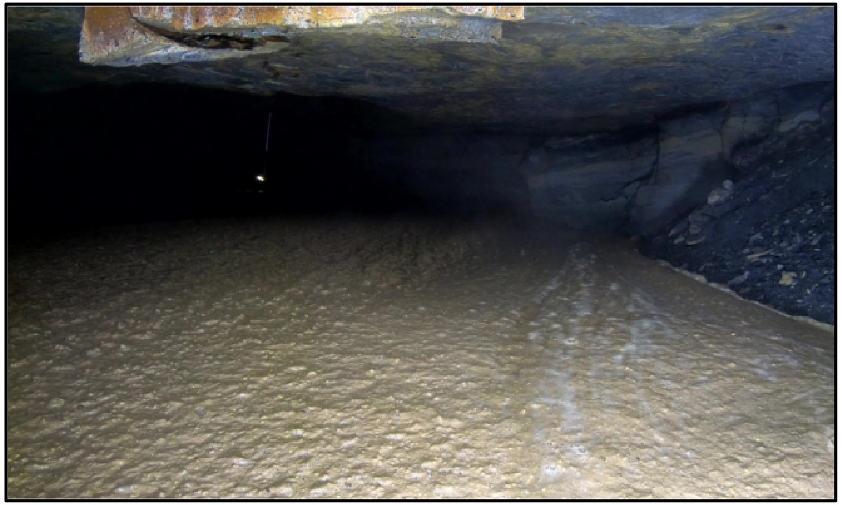 A review of coal mine fire extinguishment methods