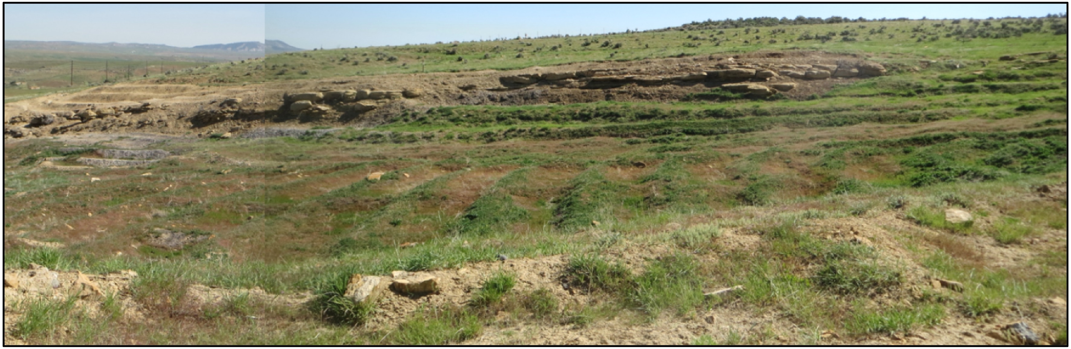 A review of coal mine fire extinguishment methods