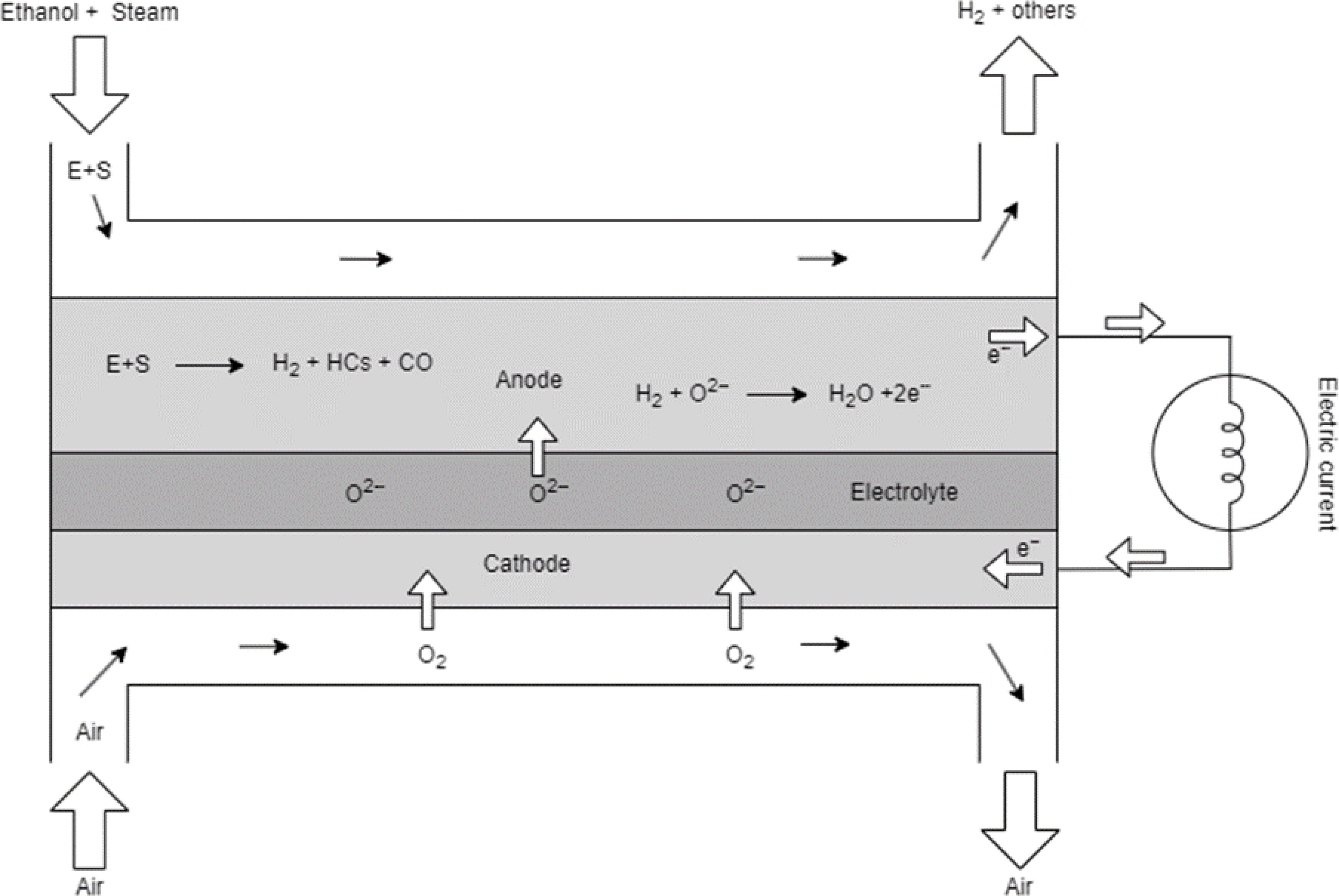 Modeling and analysis of direct internal reforming in ethanol-fueled SOFC