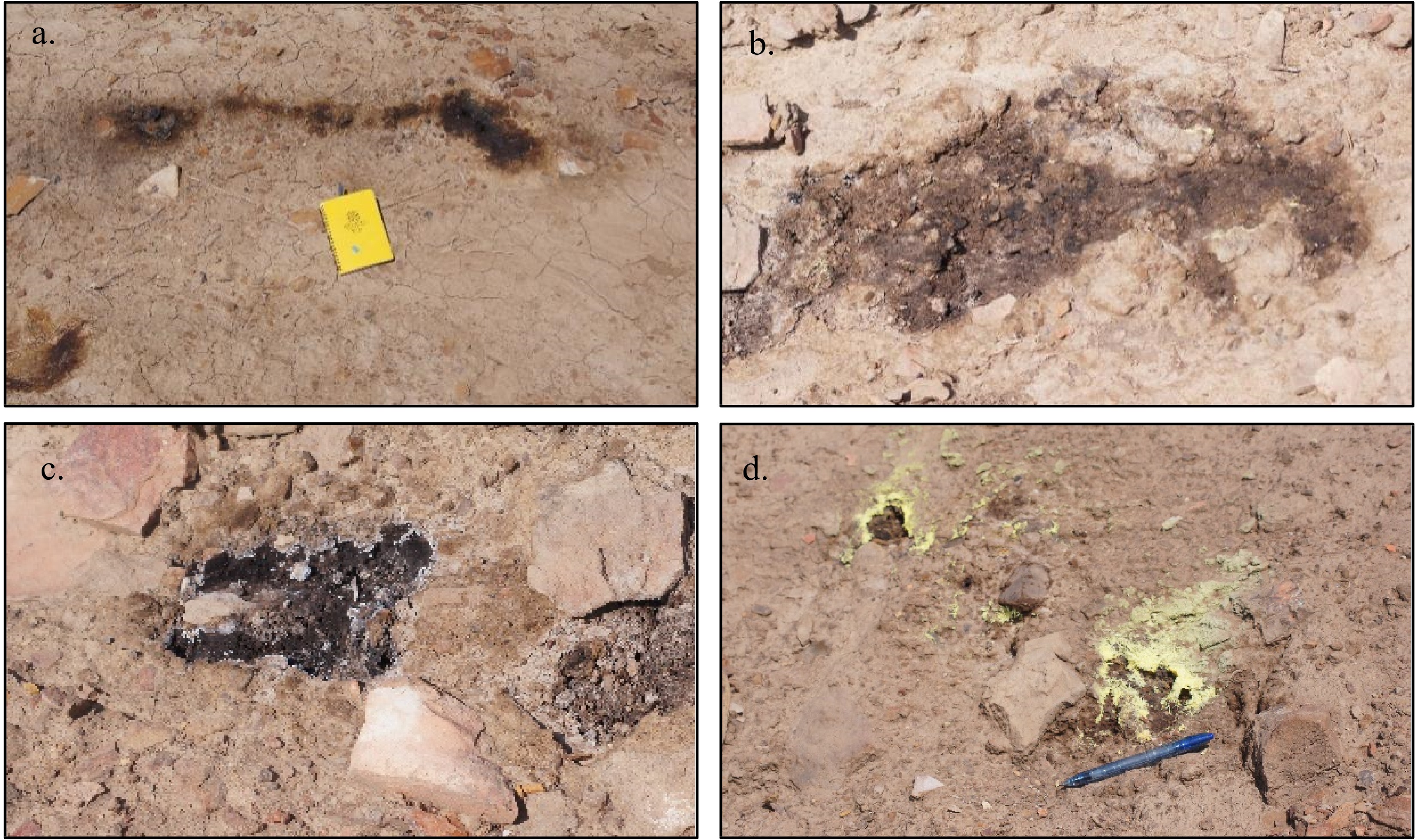 A review of coal mine fire extinguishment methods