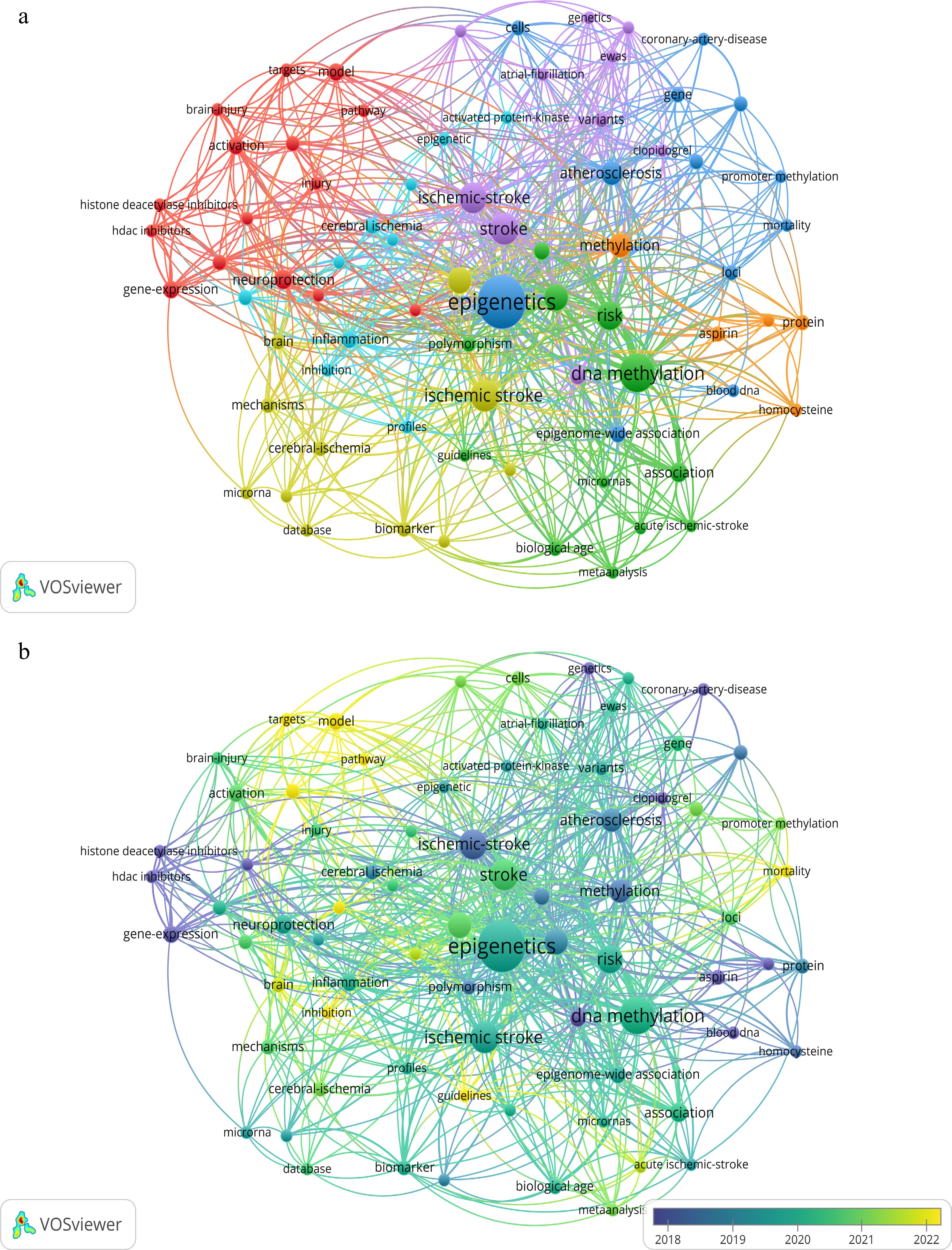 Epigenetics and ischemic stroke a bibliometric analysis from 2014 to 2024