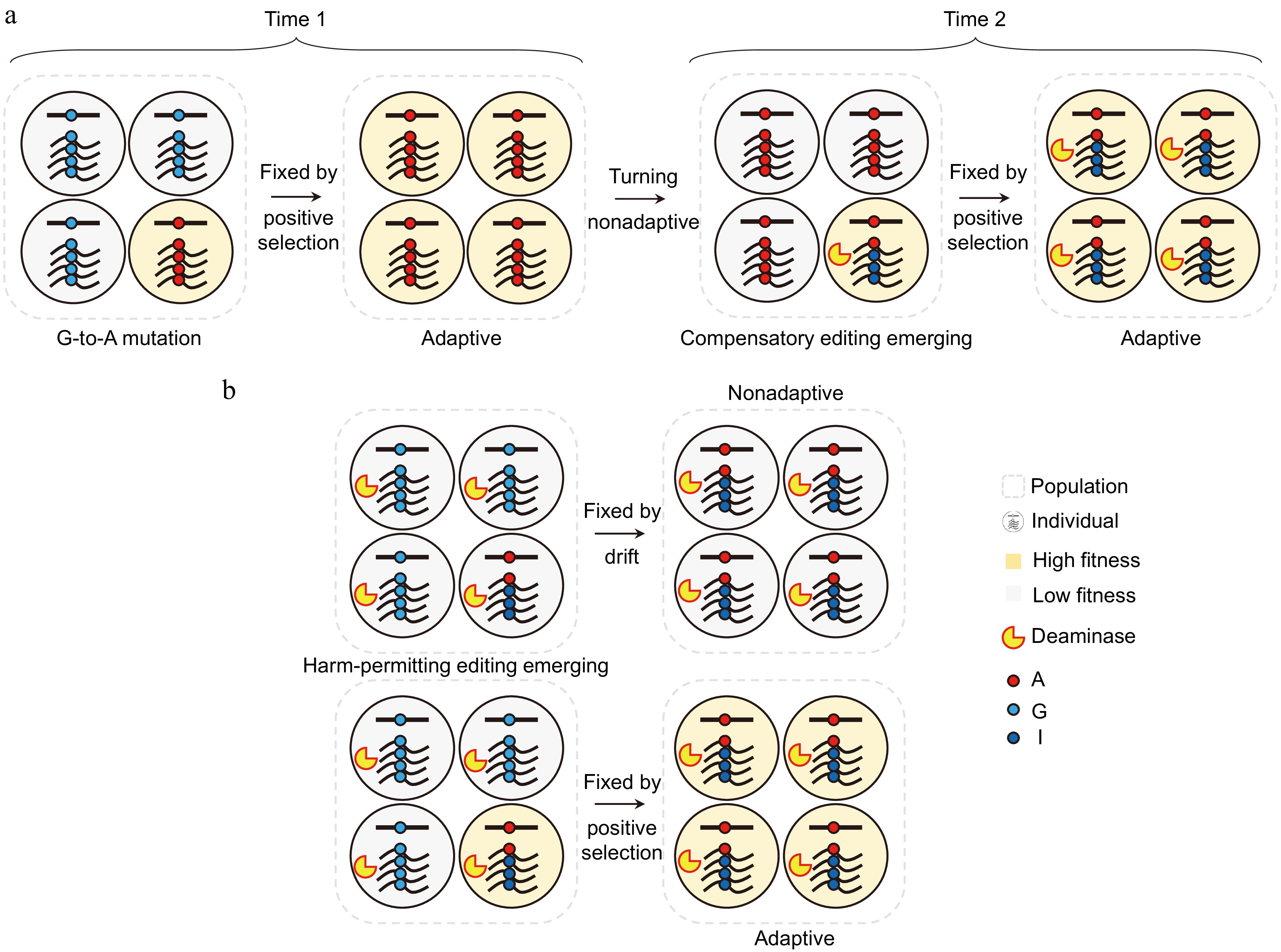 Navigating trade-offs the adaptive significance of A-to-I RNA editing ...