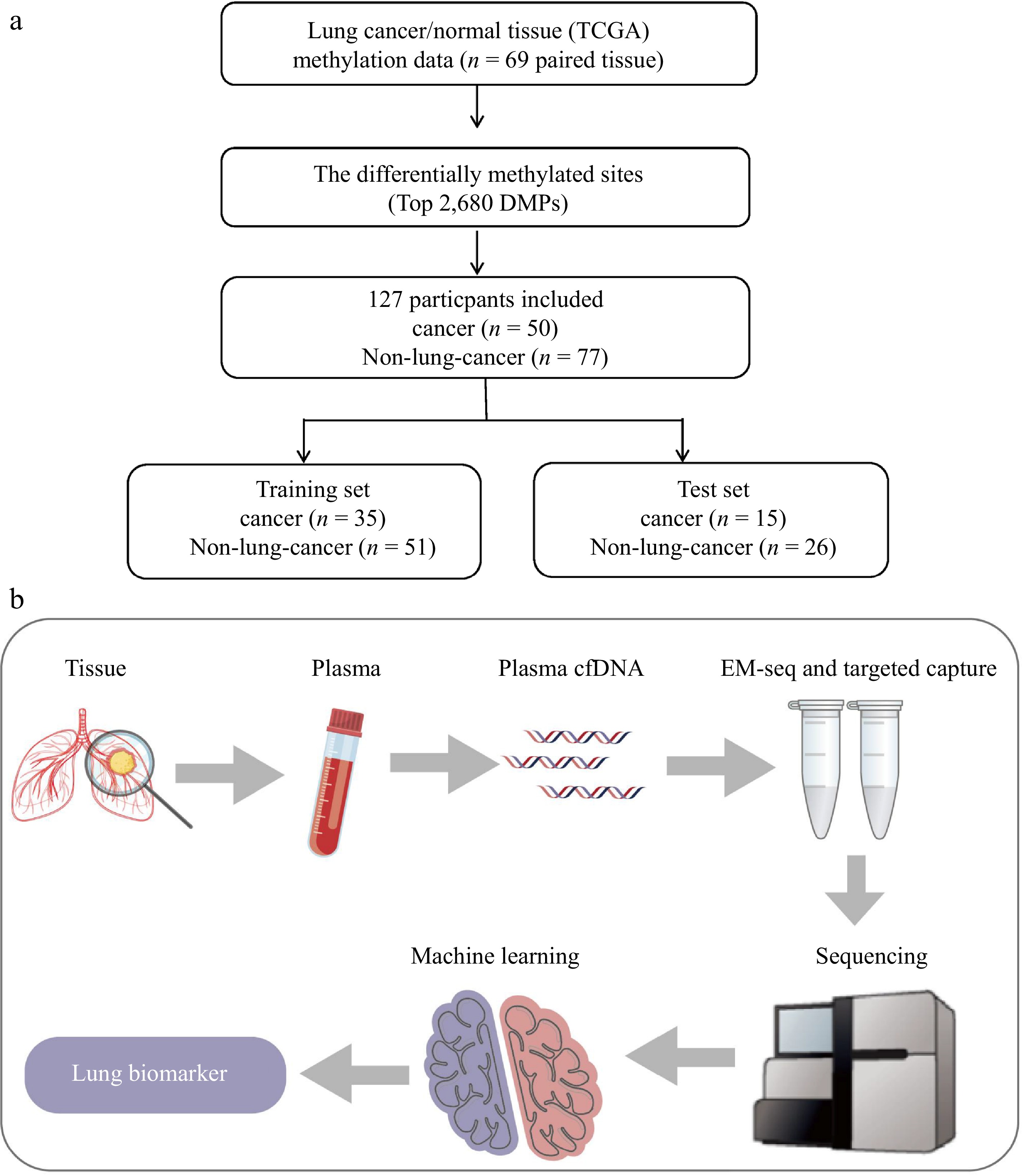 Detection of lung cancer through a method of enzymatic methylation ...