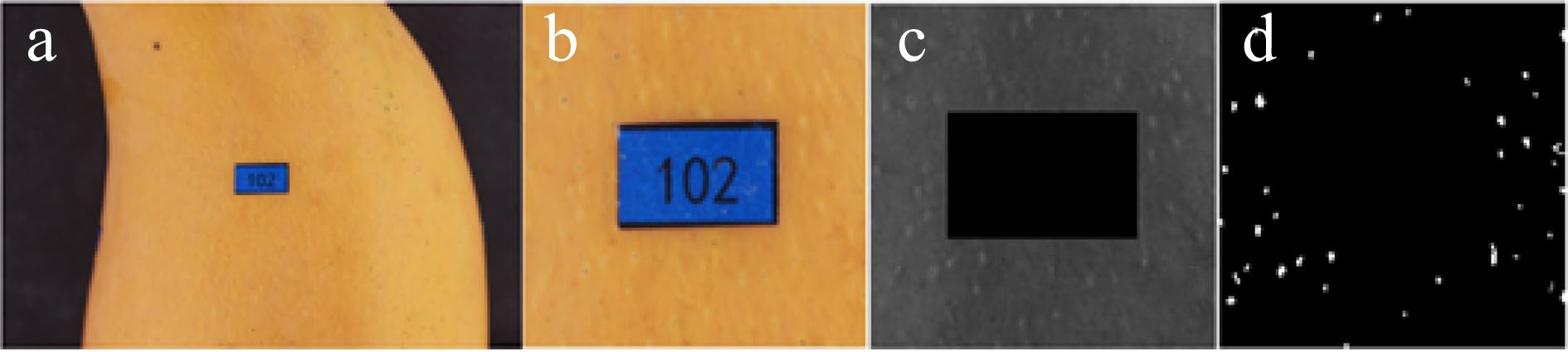 A mango biological fingerprint anti-counterfeiting method based on Fuzzy C-means clustering