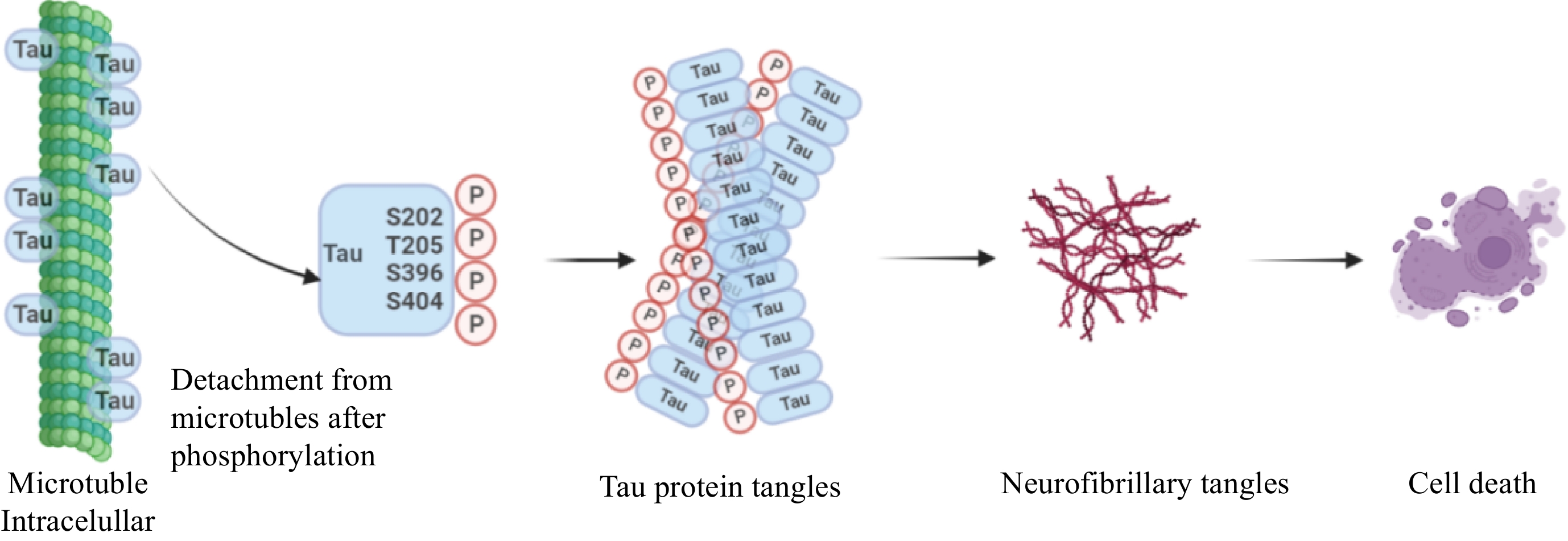 Dietary phytochemicals As a potential natural source for treatment of ...