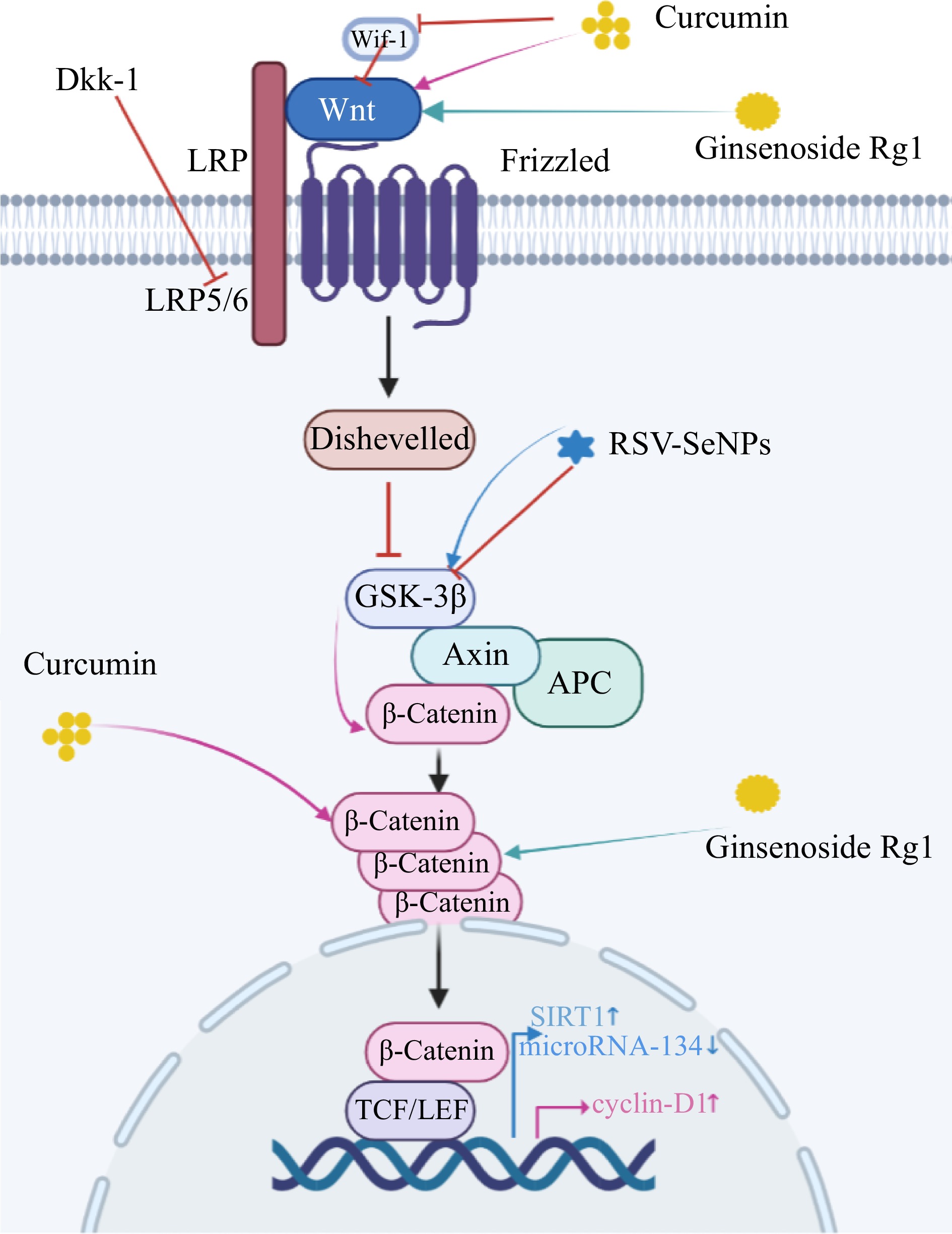 Dietary phytochemicals As a potential natural source for treatment of ...