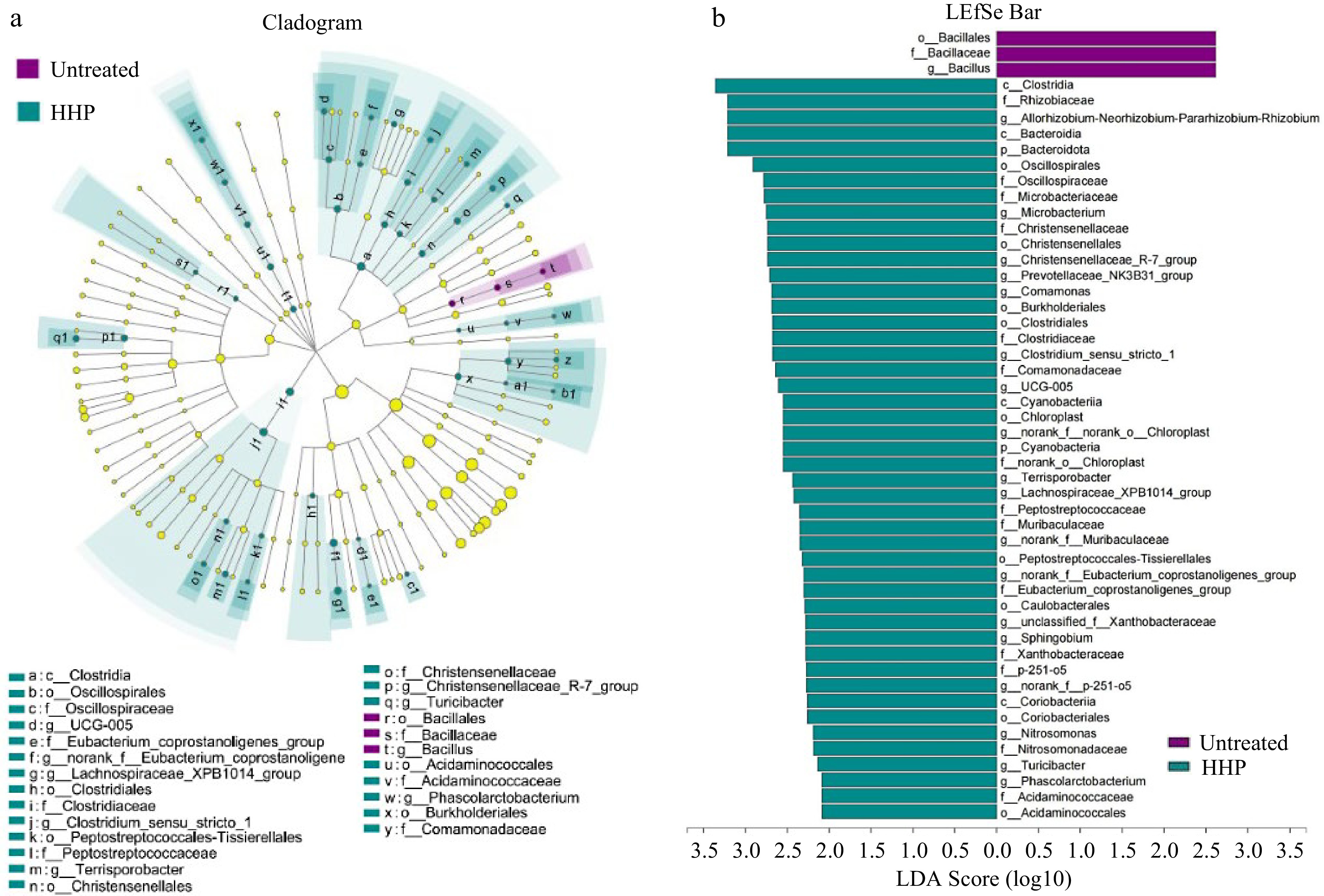 Effects of high hydrostatic pressure treatment on bacterial composition ...