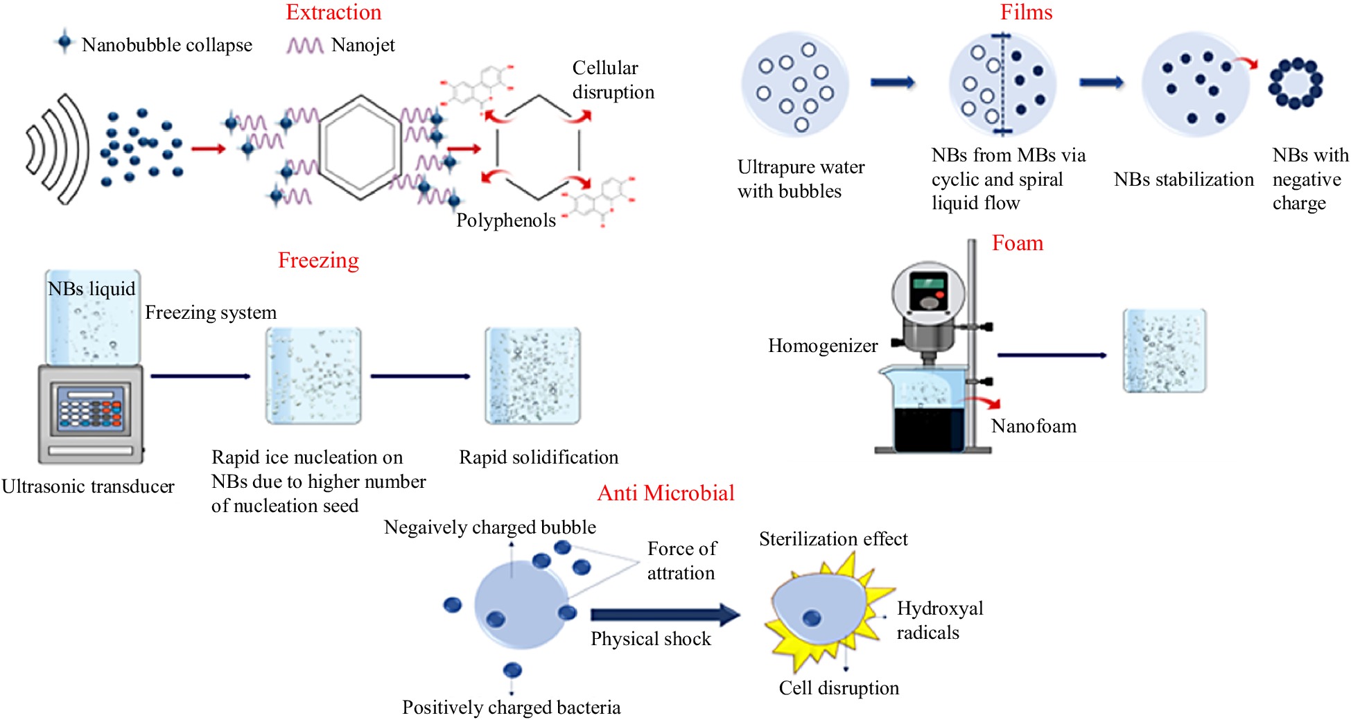 Novel nanobubble technology in food science: Application and mechanism