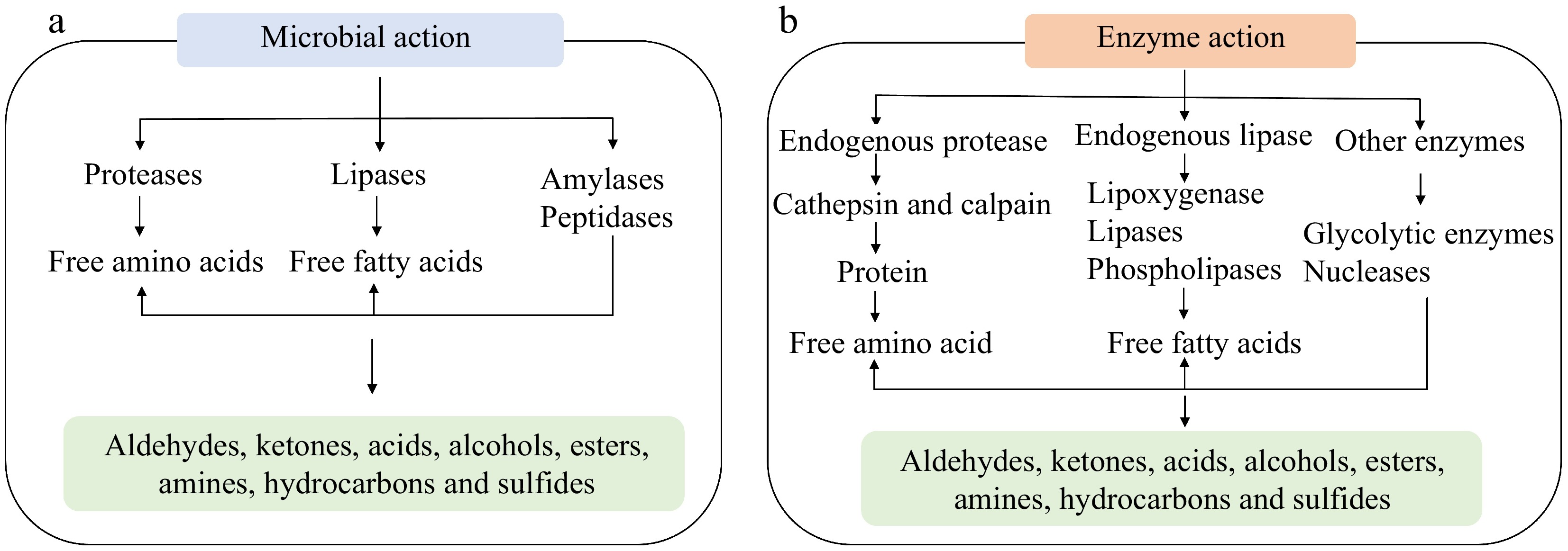 Innovative packaging materials and methods for flavor regulation of ...