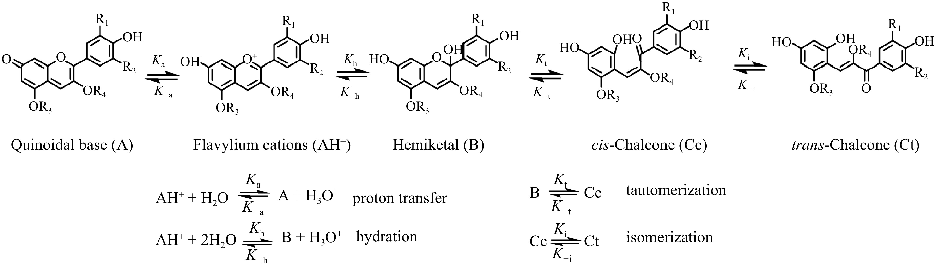 Color myth anthocyanins reactions and enological approaches achieving ...