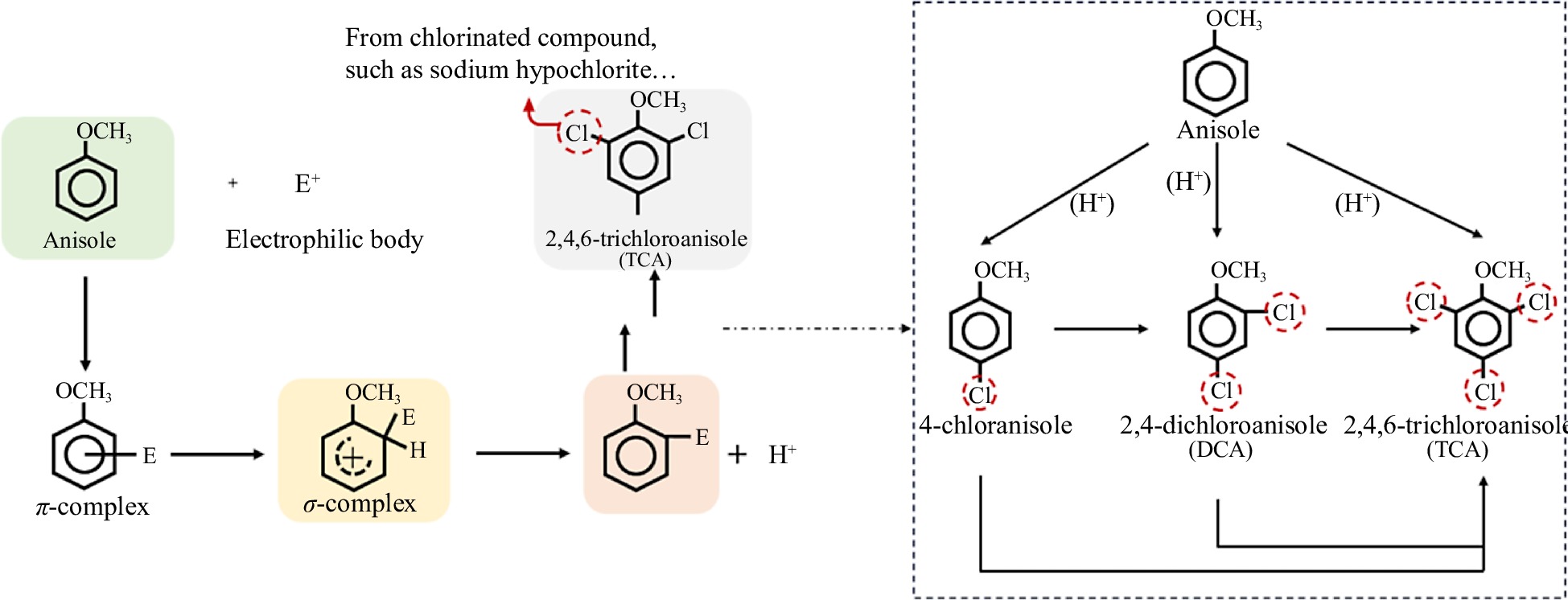 Cork taint of wines the formation, analysis, and control of 2,4,6 ...