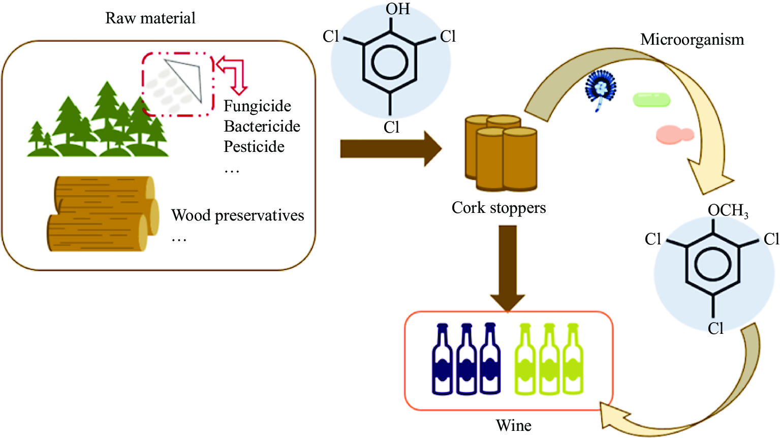 Cork taint of wines: the formation, analysis, and control of 2,4,6 ...