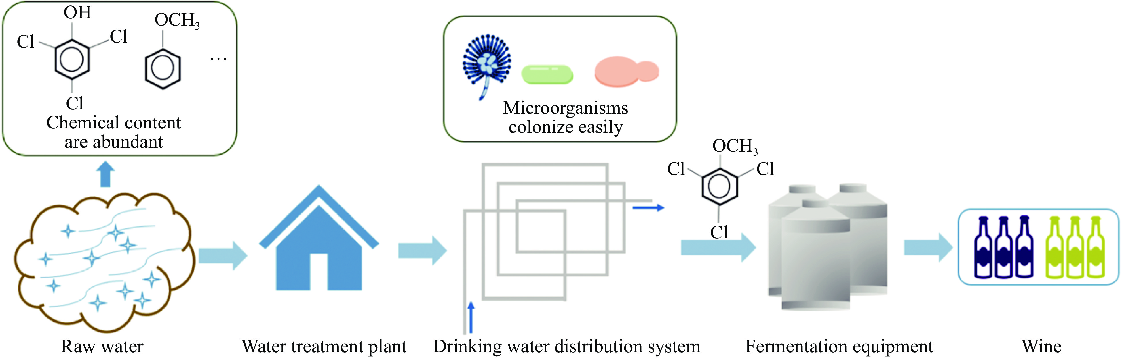 Cork taint of wines the formation, analysis, and control of 2,4,6 ...