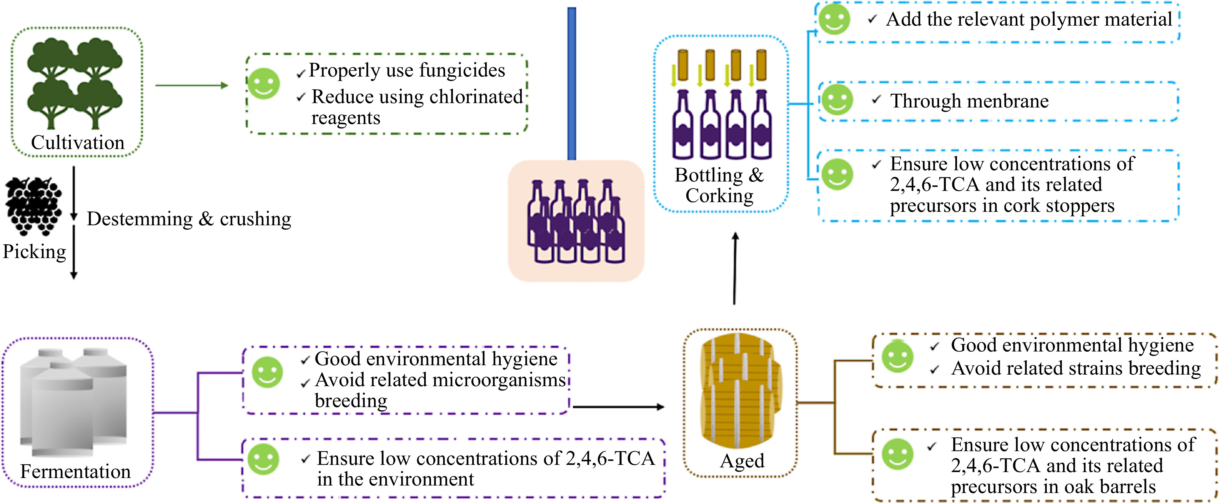 Cork taint of wines: the formation, analysis, and control of 2,4,6 ...