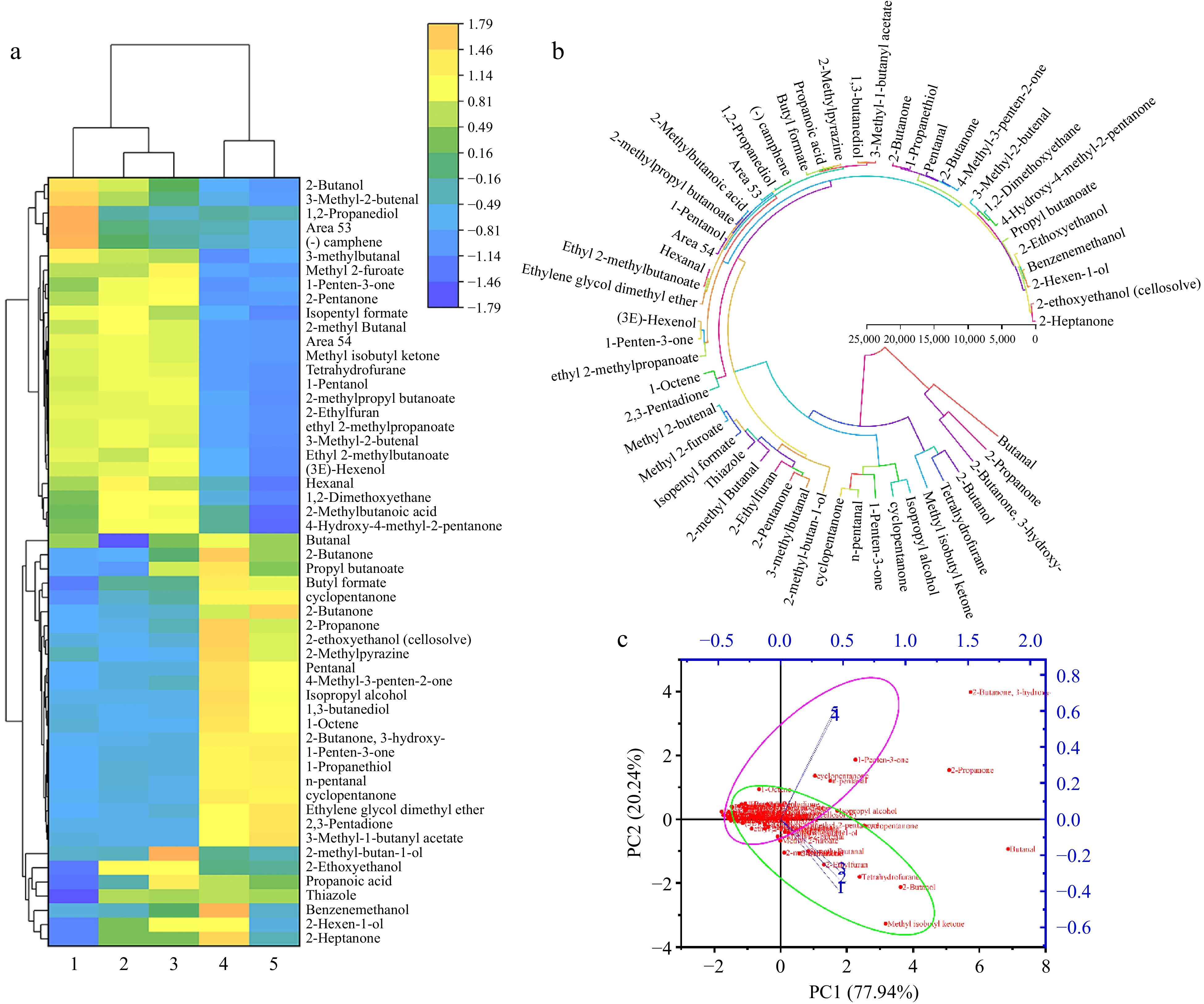 Study on fermentation kinetics, antioxidant activity and flavor ...