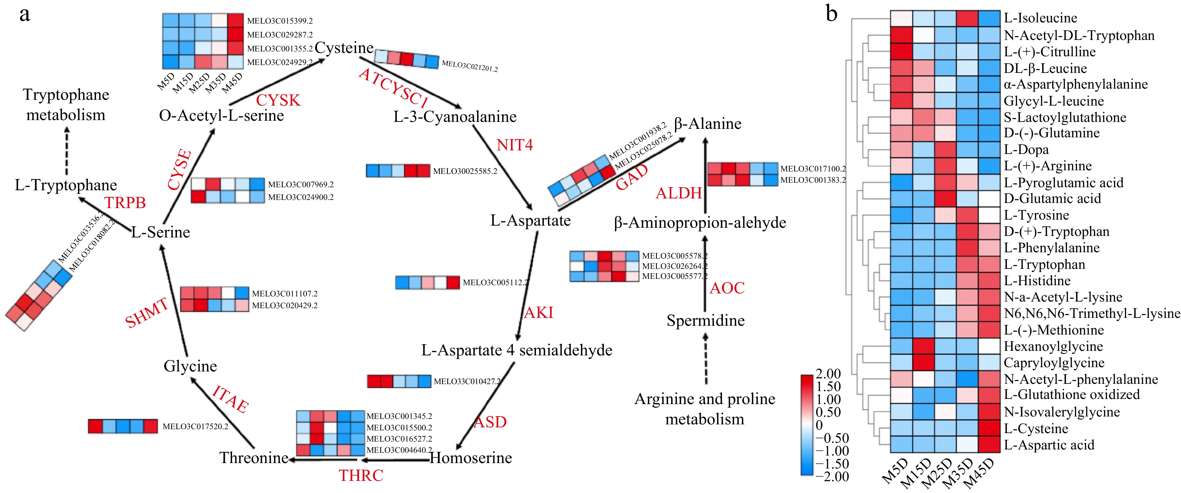 Transcriptomics and metabolomics reveal major quality regulations ...