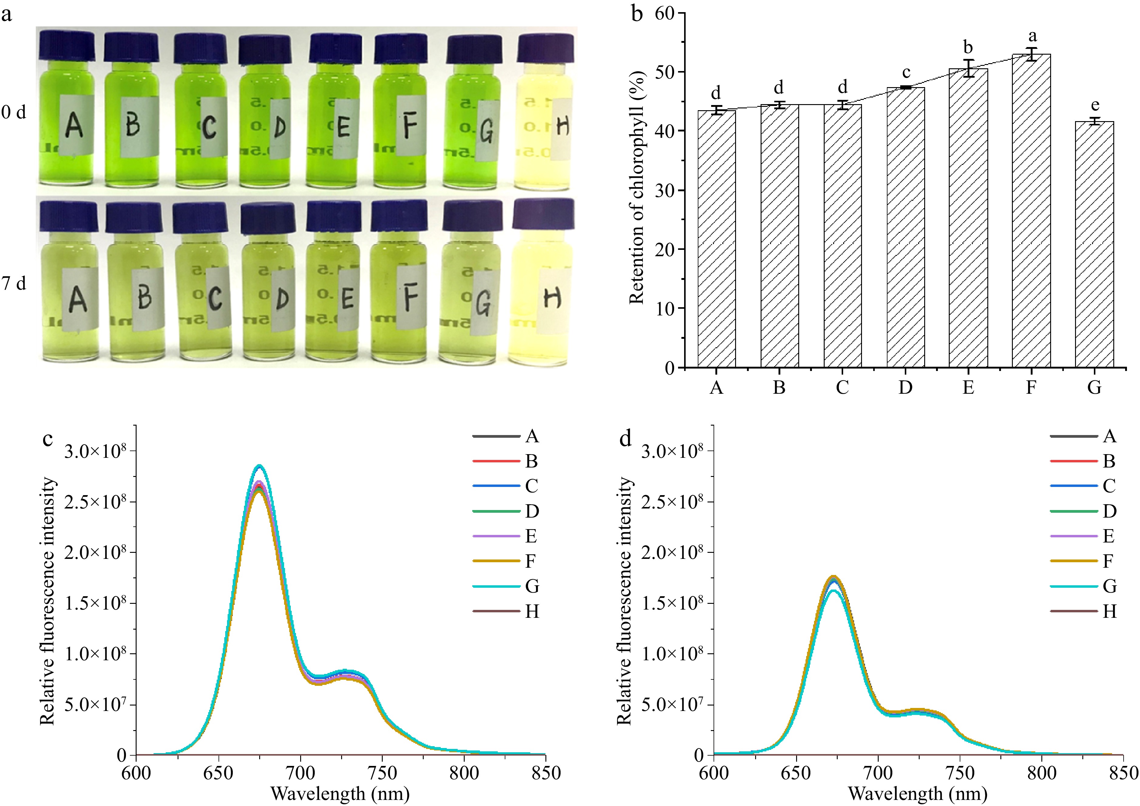 Protection mechanism of β-carotene on the chlorophyll photostability ...